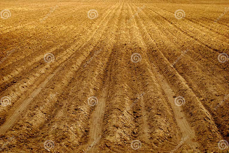 Rows of Furrows in Field stock photo. Image of growth - 9638220