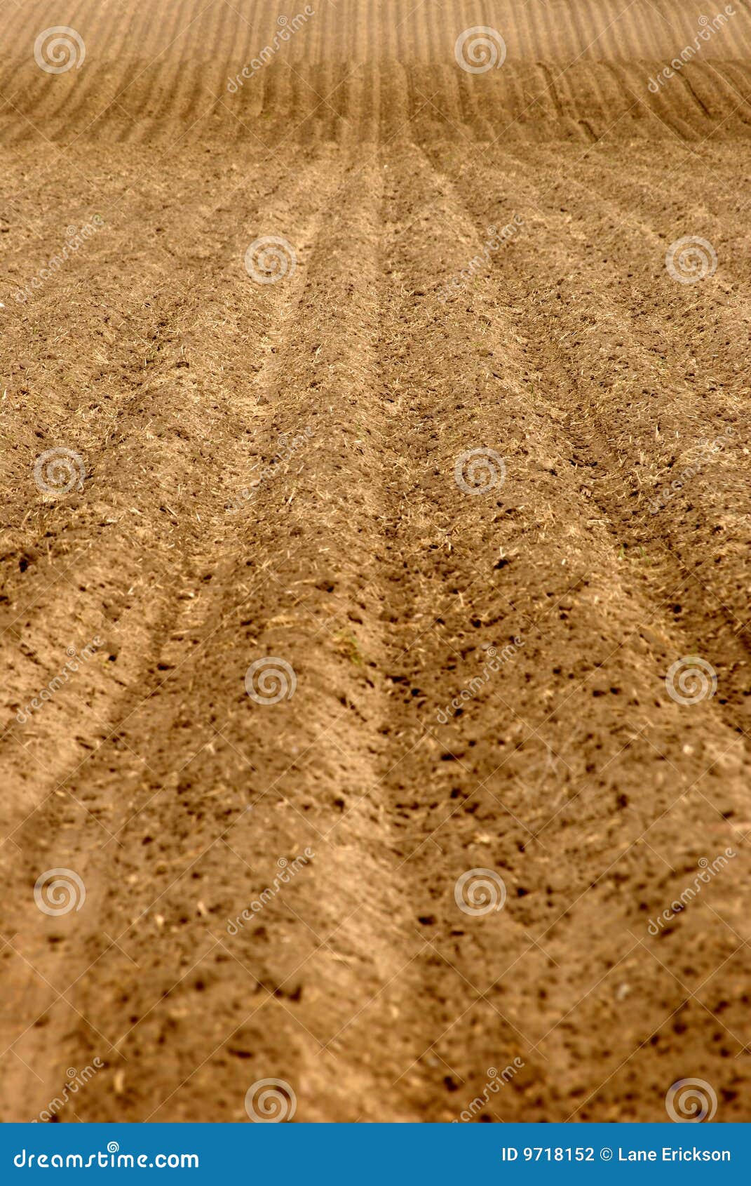 Rows of Furrows in Field stock photo. Image of harvest - 9718152