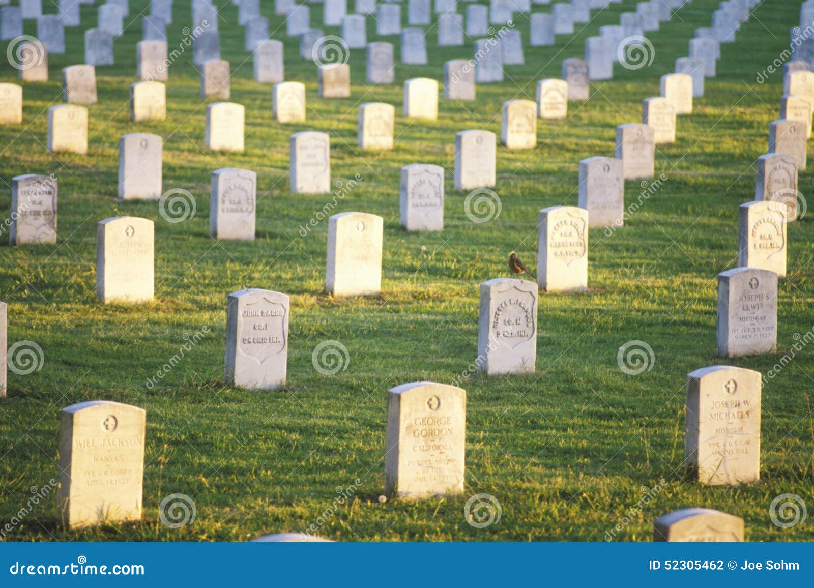 Rows of Gravestones at Sunset, Los Angeles, California Editorial ...
