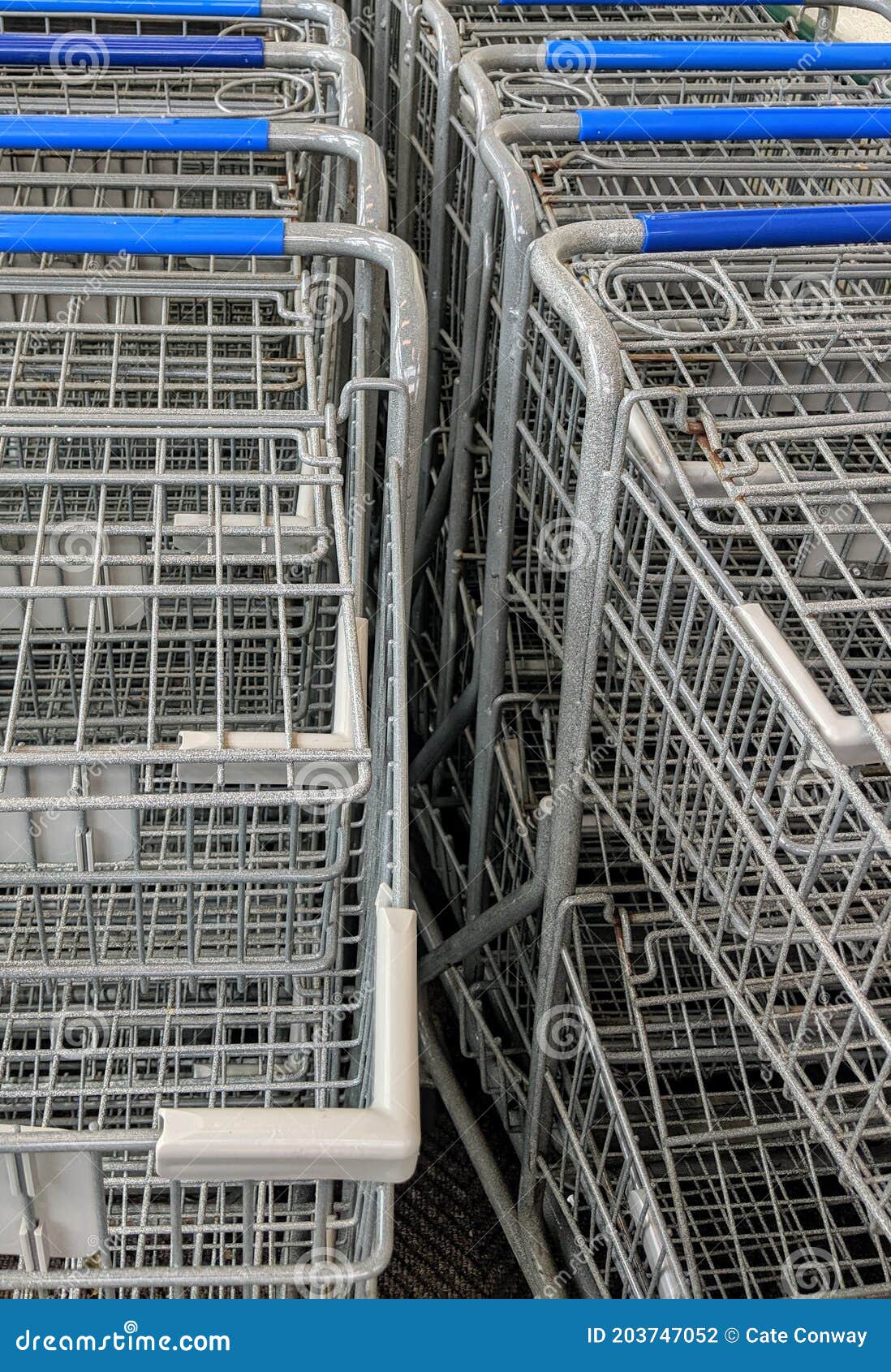 Rows of grocery carts stock photo. Image of industry - 203747052