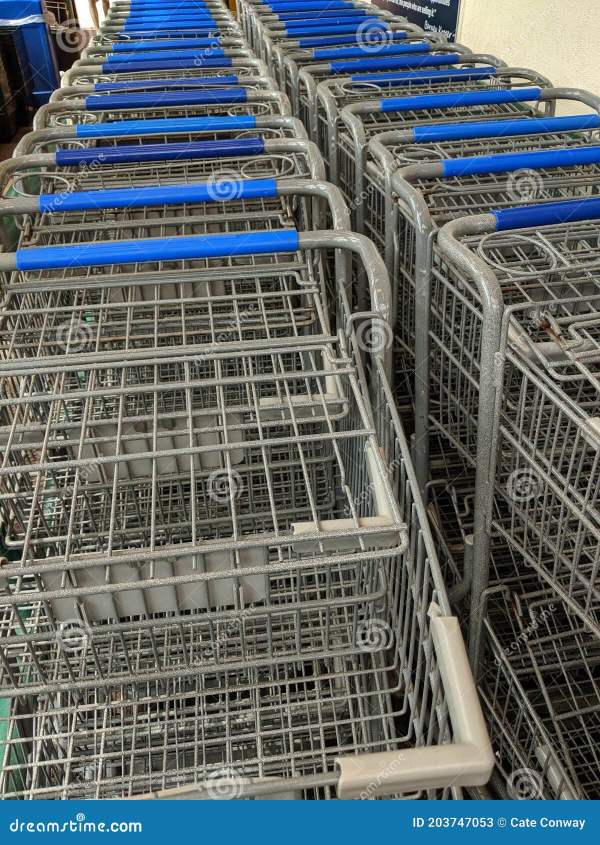 Rows of grocery carts stock image. Image of building - 203747053