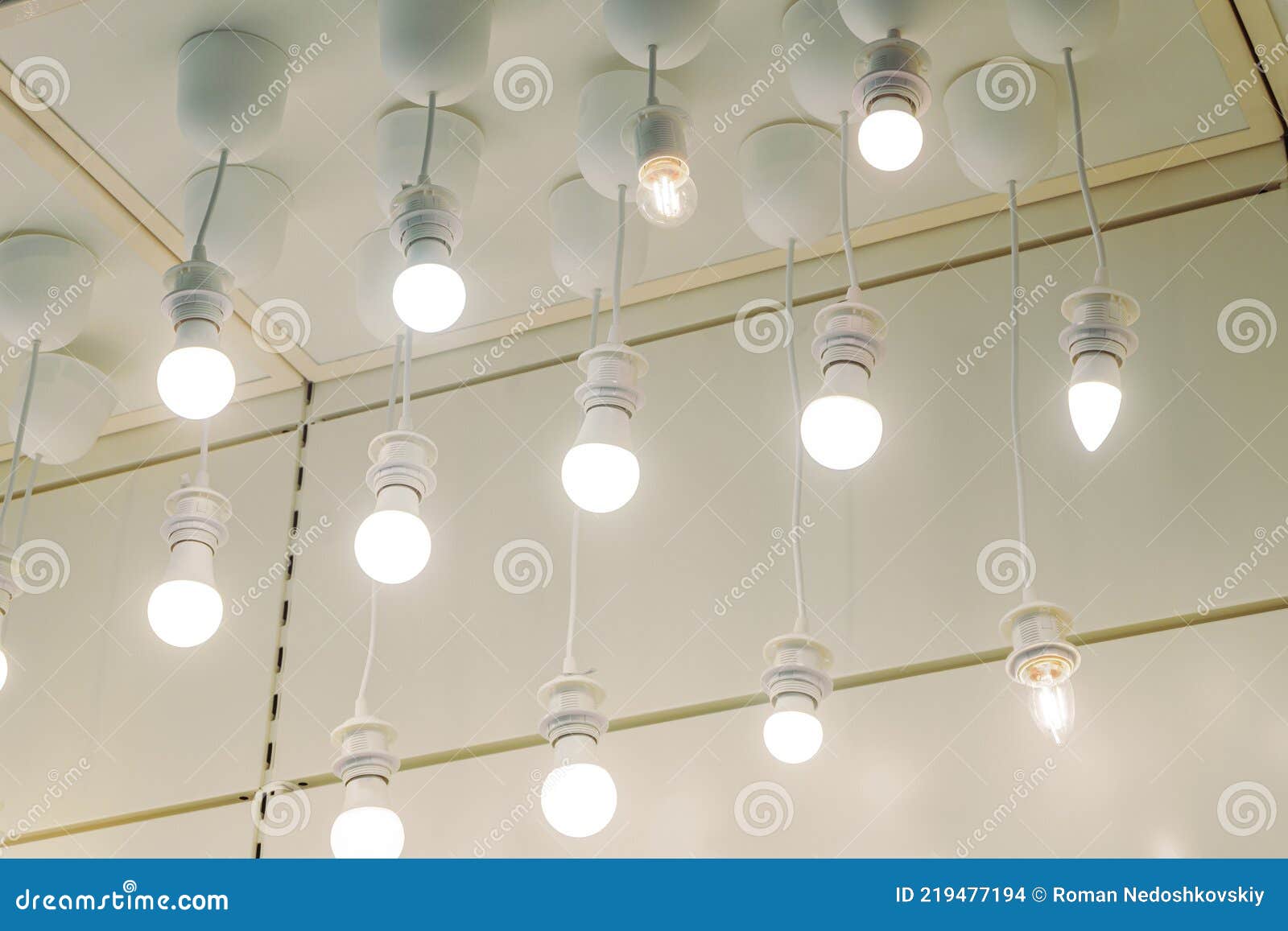 Rows of Hanged Led Glowing Light Bulbs in Shop Market Stock Photo ...