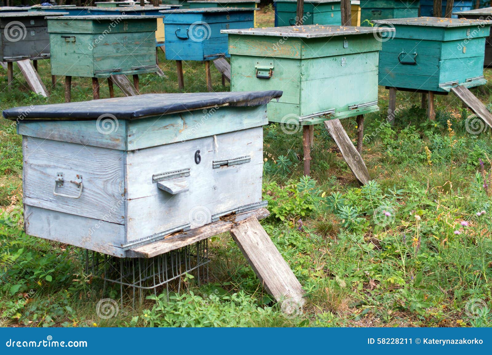 Rows of Hives in the Apiary Stock Image - Image of conservation, shadow ...