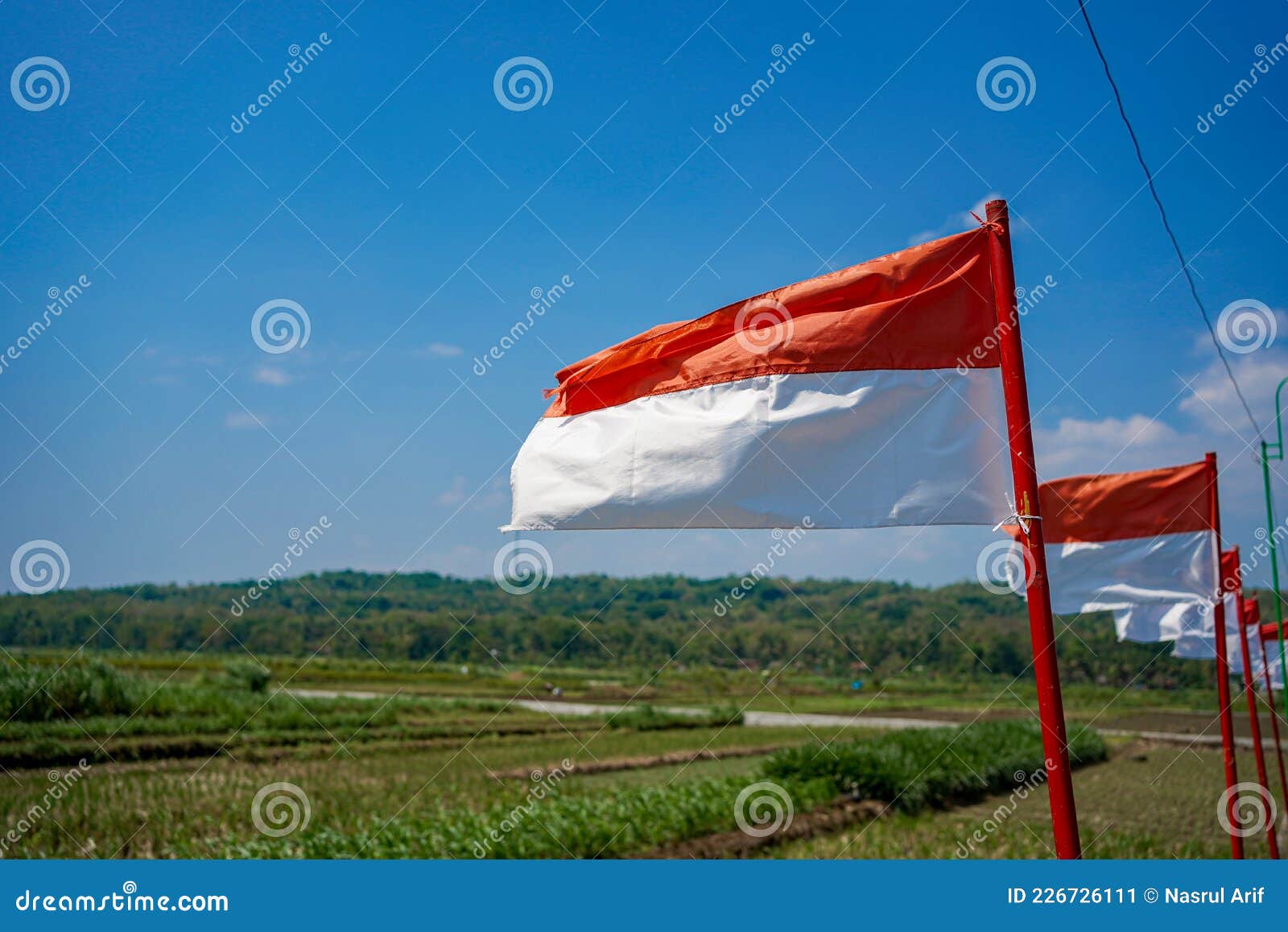 Rows of Indonesian National Red and White Flags Neatly Installed in the ...