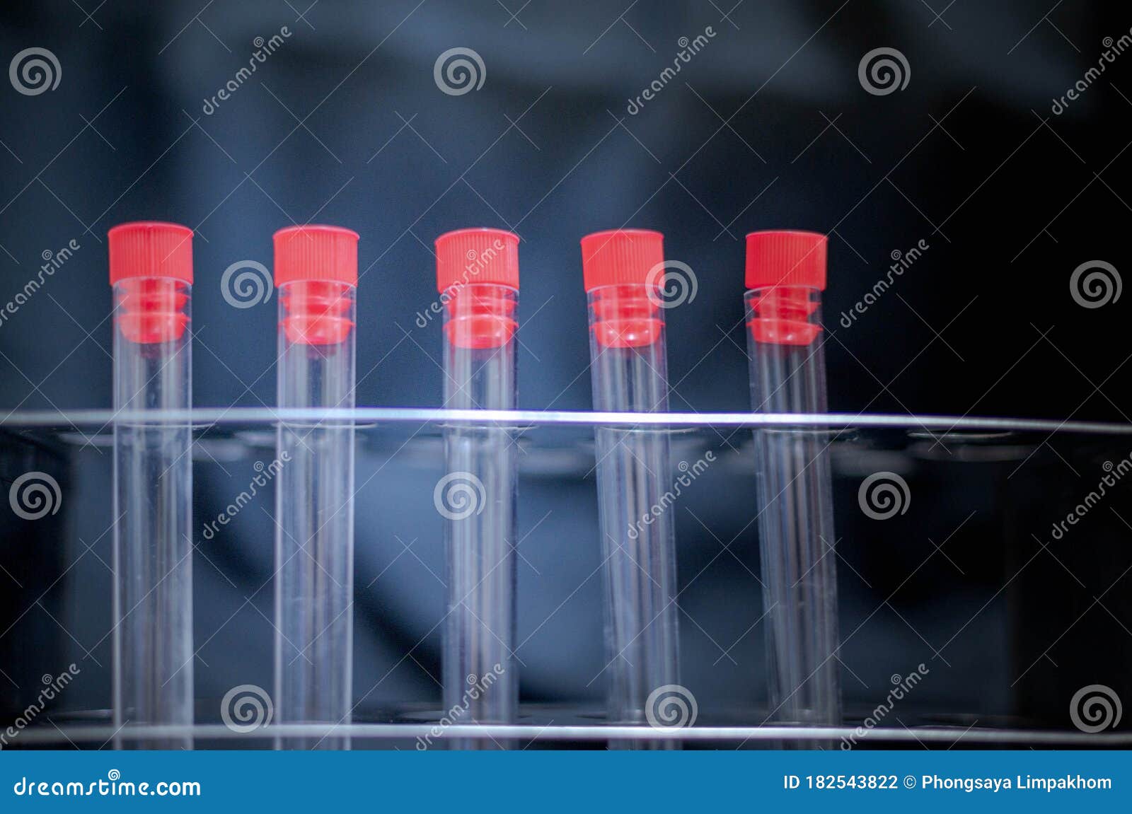 Rows of Laboratory Test Tubes Use for Experiment Scientist. for the ...