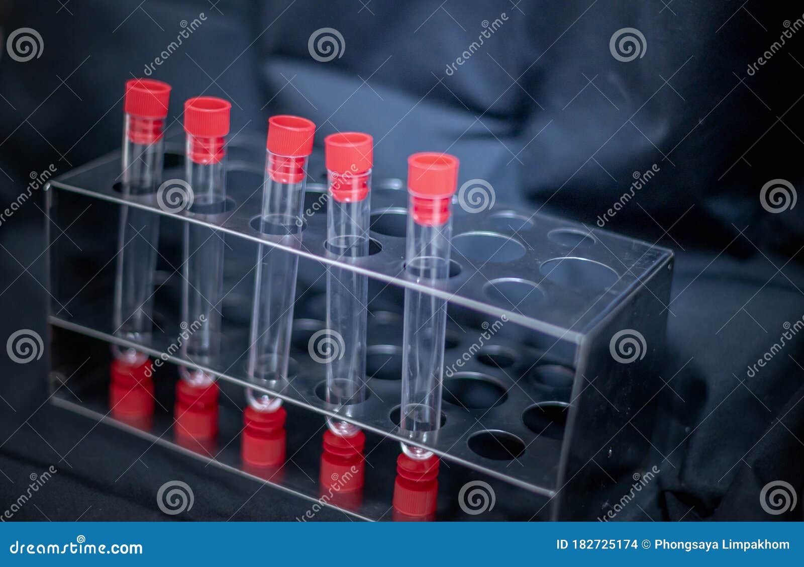 Rows of Laboratory Test Tubes Use for Experiment Scientist. for the ...