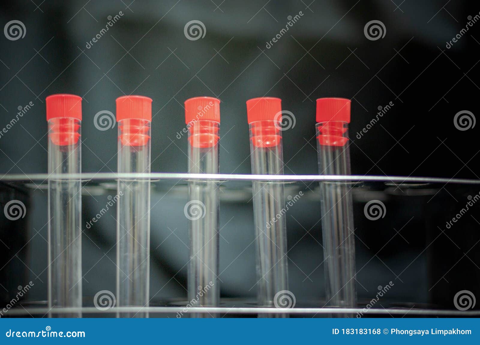 Rows of Laboratory Test Tubes Use for Experiment Scientist. for the ...