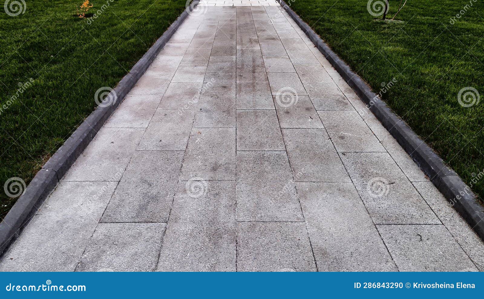 Rows and Lines of Square Sidewalk Gray Tiles on the Floor Outside or ...
