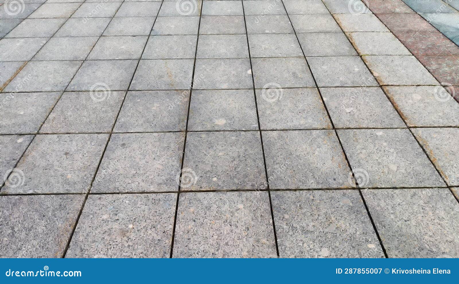 Rows and Lines of Square Sidewalk Gray Tiles on the Floor Outside or ...