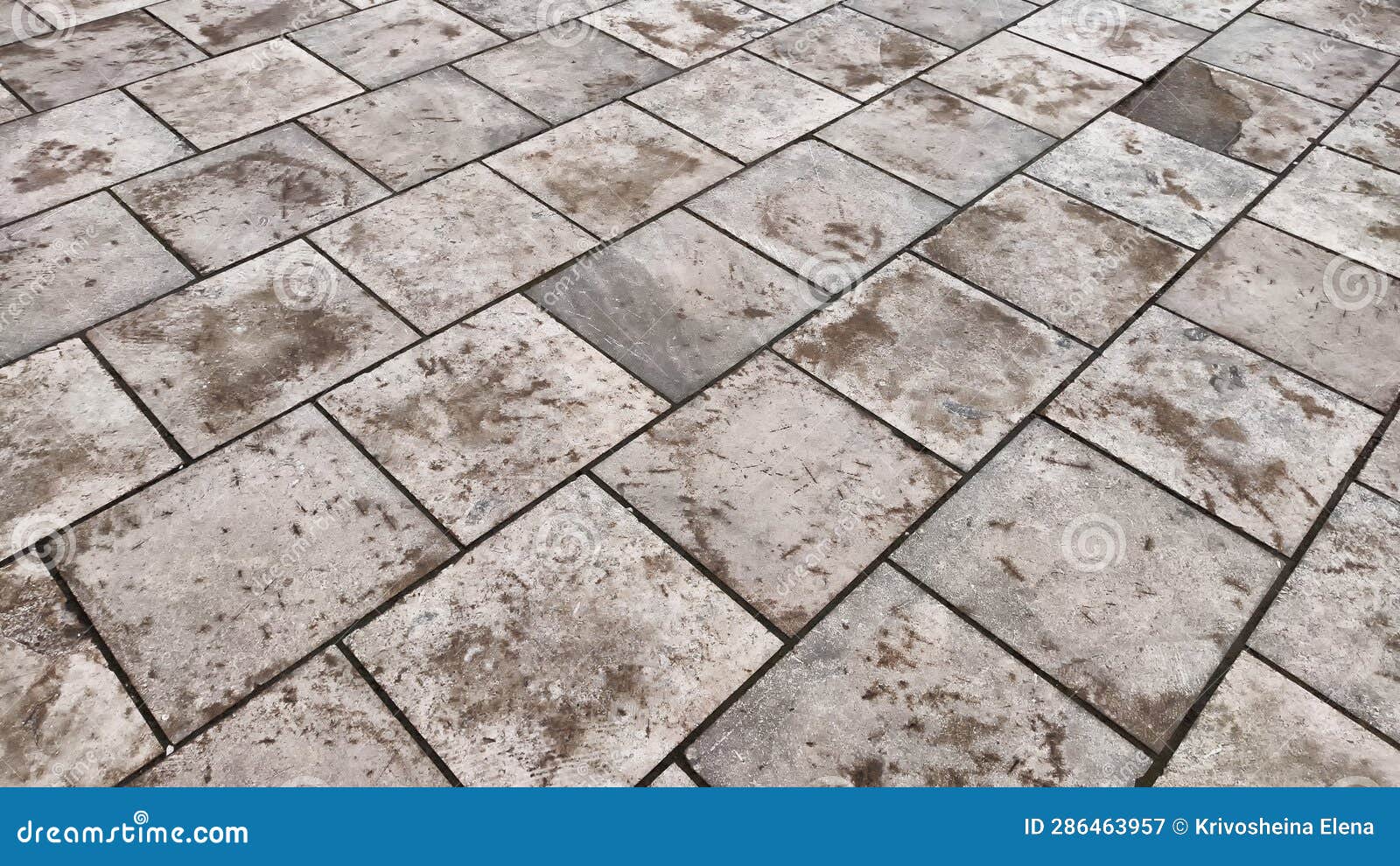 Rows and Lines of Square Sidewalk Gray Tiles on the Floor Outside or ...
