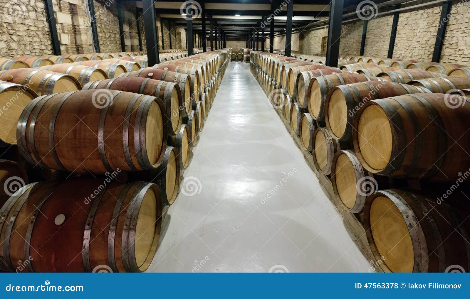 Rows with Many Barrels in Winery Stock Photo - Image of wine, vineyard ...