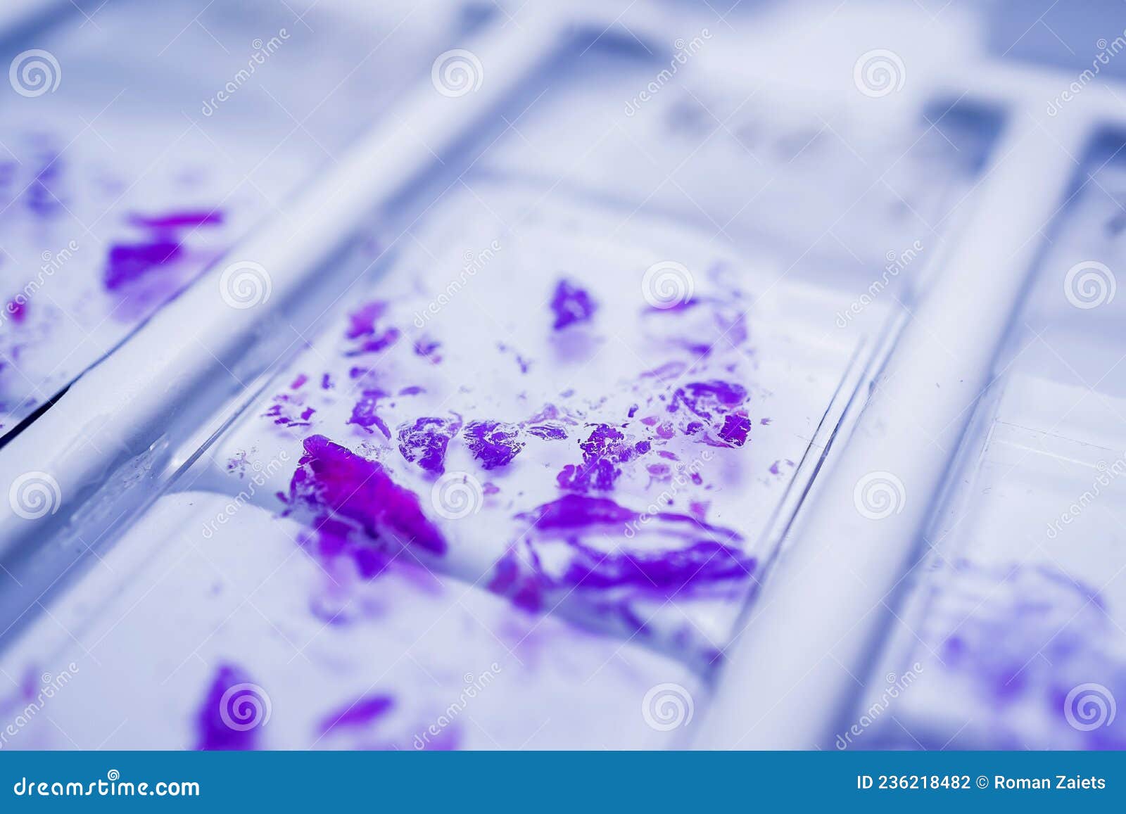 Rows of Microscope Glass Slide in the Cells Stock Photo - Image of ...