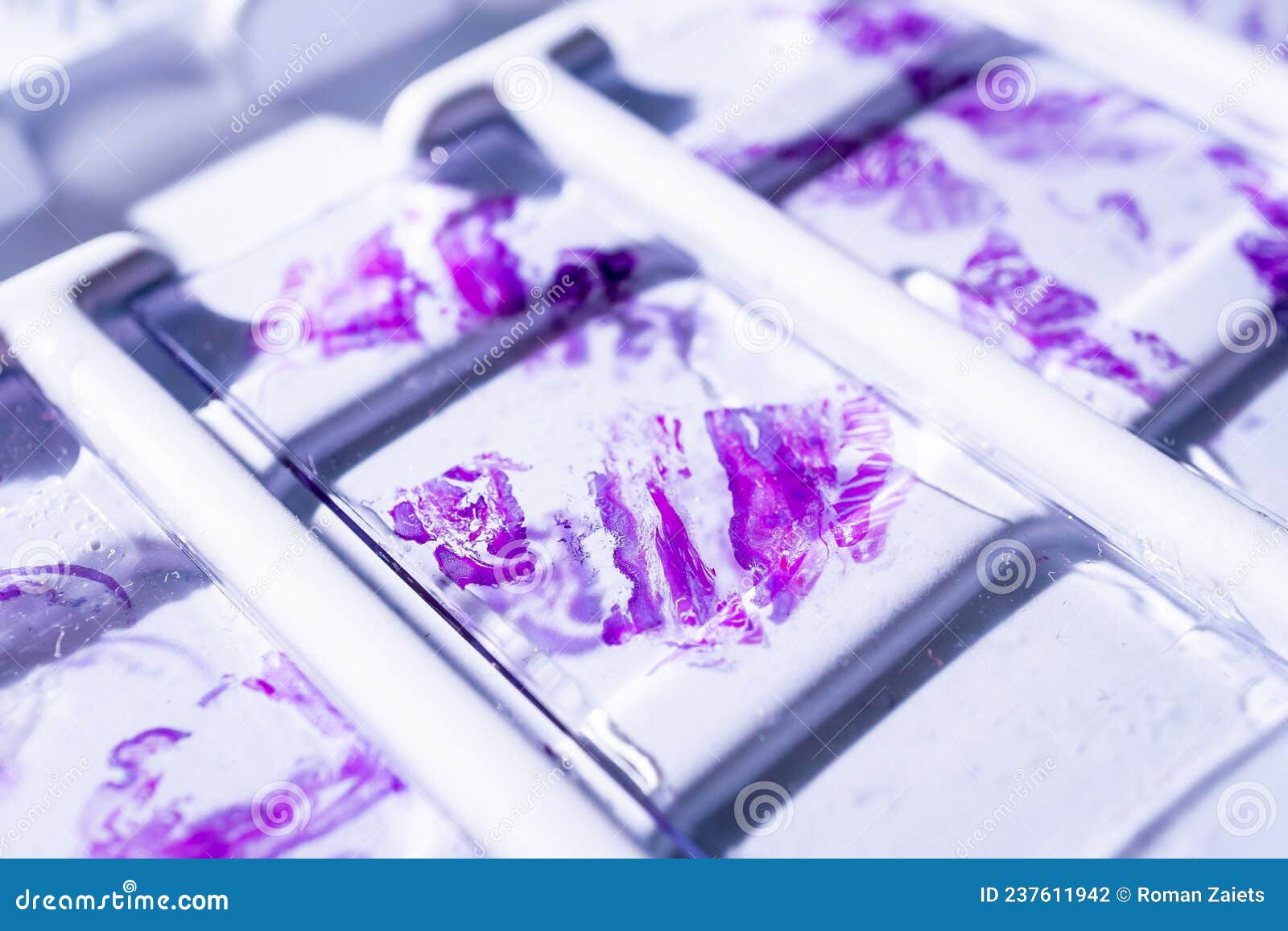 Rows of Microscope Glass Slide in the Cells Stock Photo - Image of ...