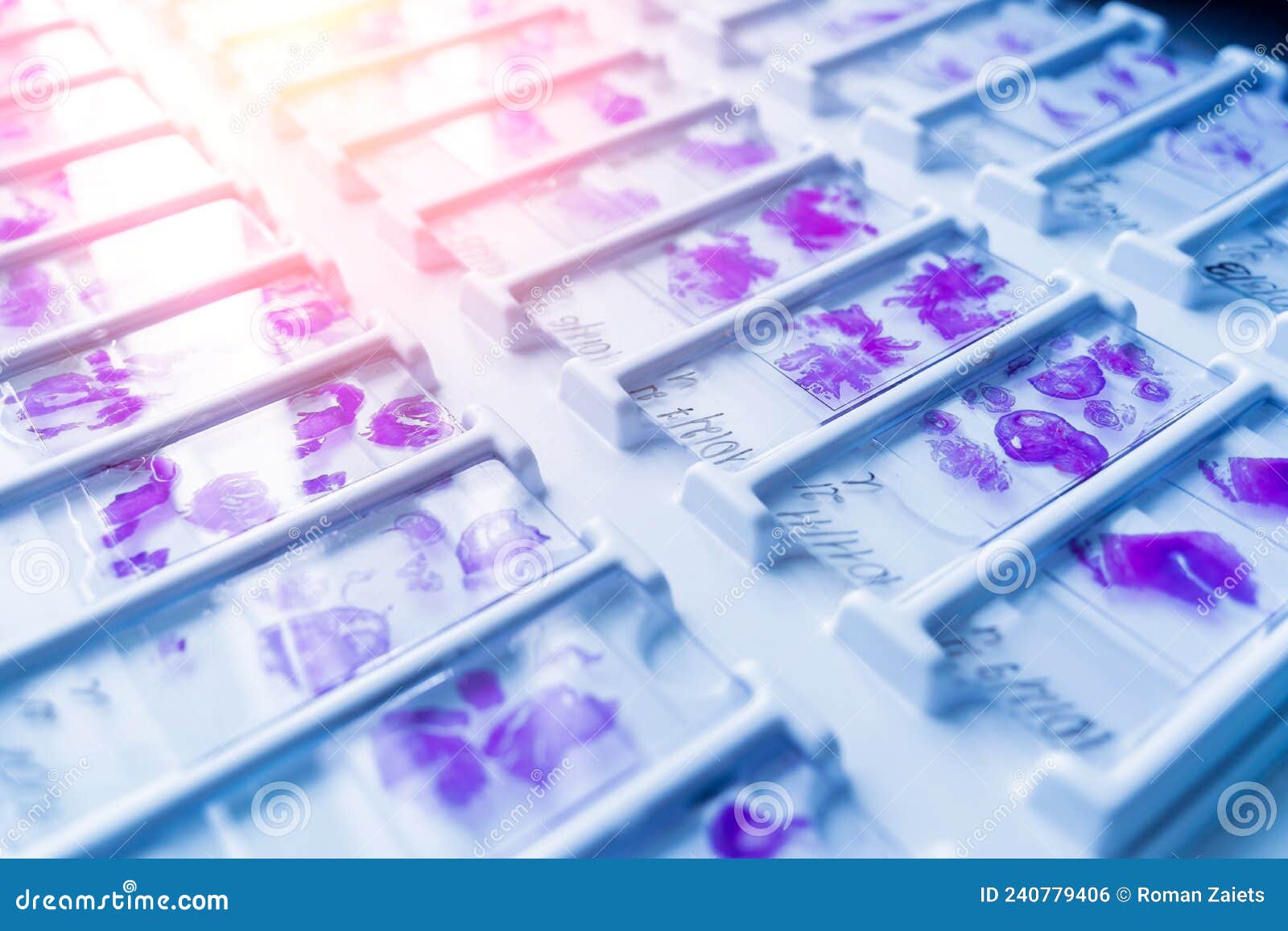 Rows of Microscope Glass Slide in the Cells Stock Photo - Image of ...