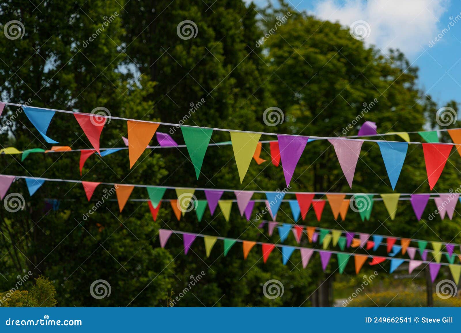 Rows of Multicoloured Buntings with Trees in the Background. Stock ...
