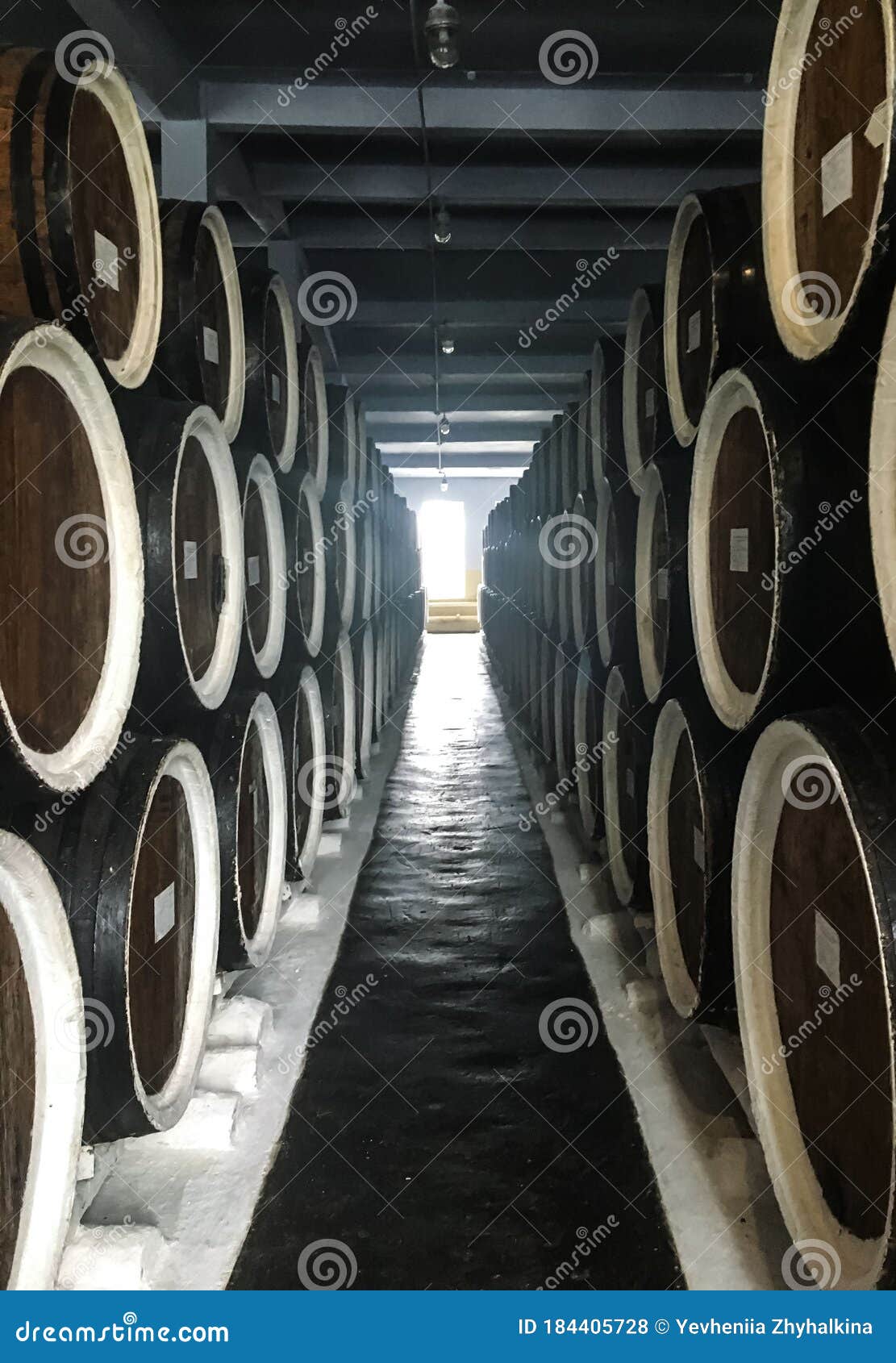 Rows of an old oak barrel stock photo. Image of assortment - 184405728