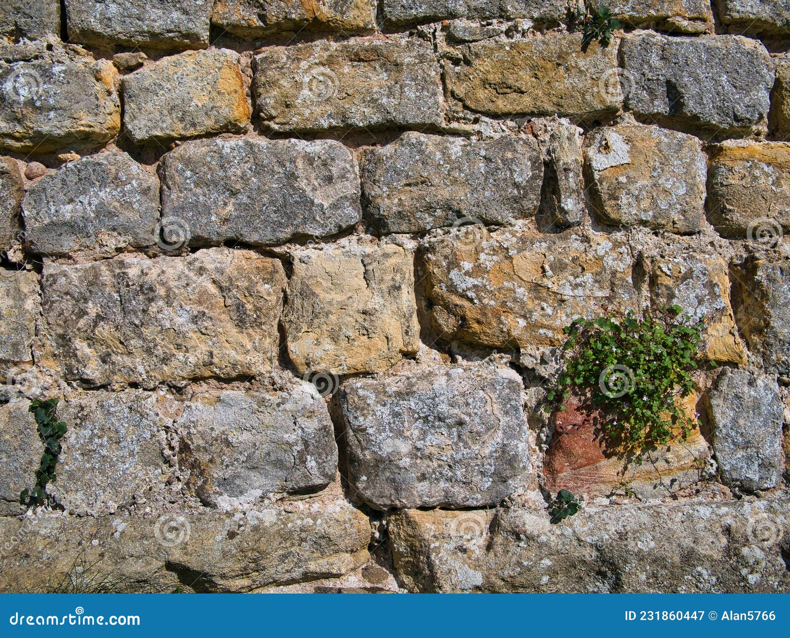 Rows of Old Stone Blocks in an Ancient Wall. Taken on a Sunny Day Stock ...
