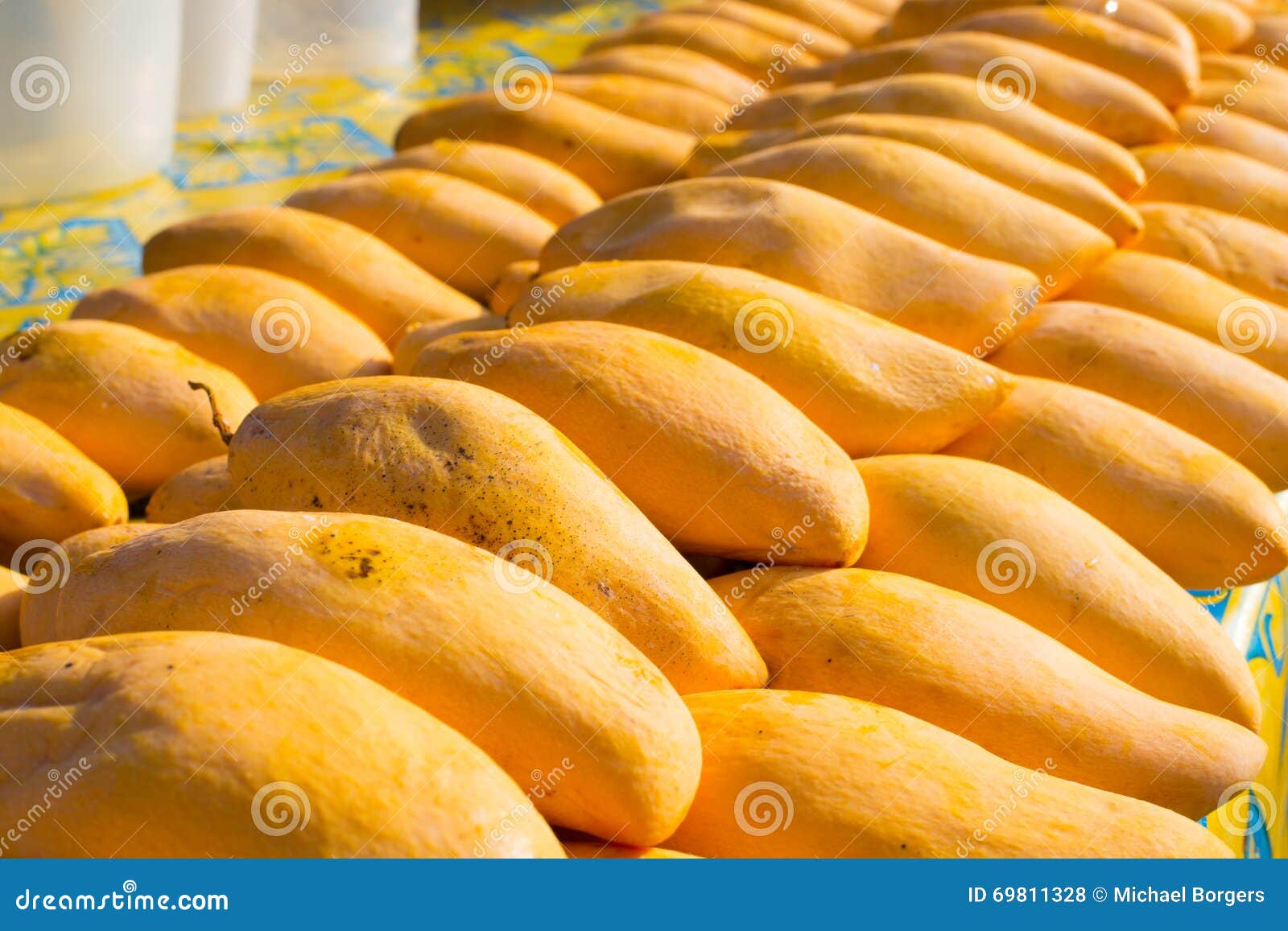Rows of orange mangoes stock photo. Image of yellow, closeup - 69811328