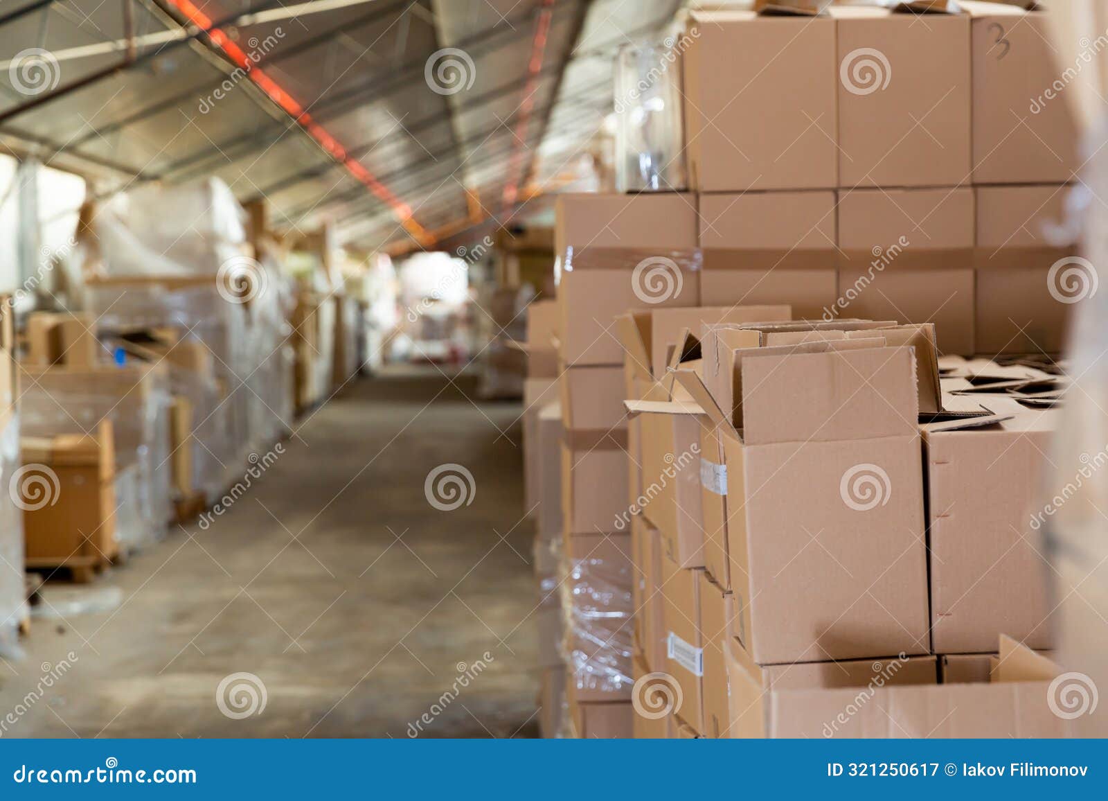 Rows of Pasteboard Boxes on Racks in Storehouse Stock Image - Image of ...
