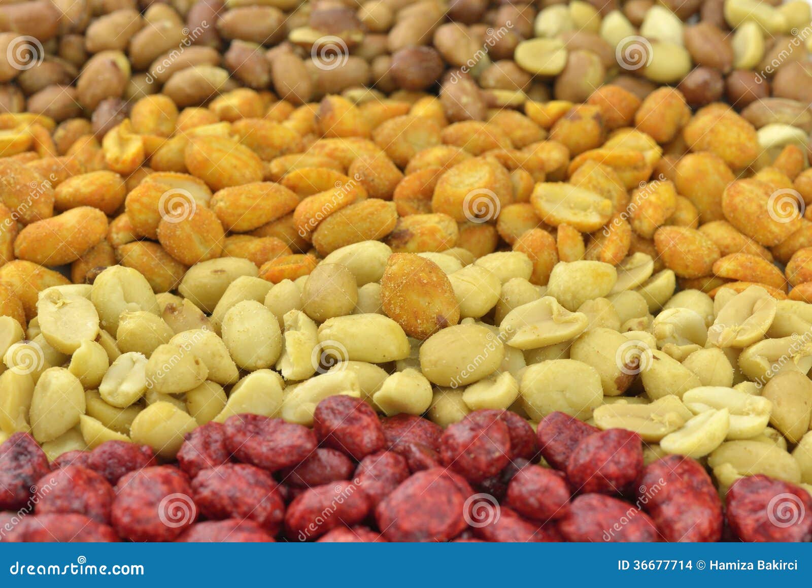 Rows of peanuts stock photo. Image of closeup, natural - 36677714
