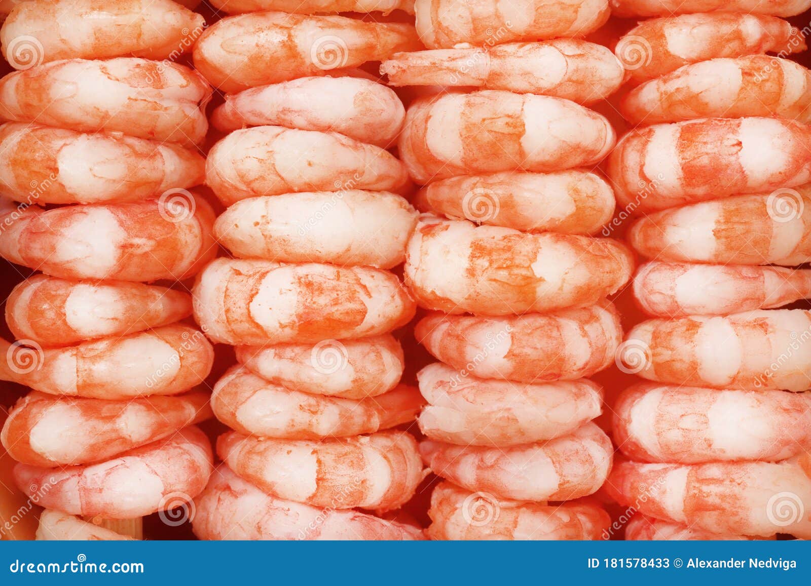Rows of Peeled Boiled Shrimp Filling Texture. Stock Image - Image of ...