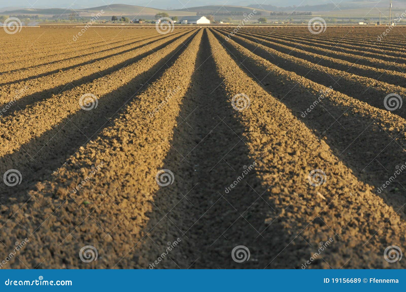 Rows of plowed dirt stock image. Image of color, empty - 19156689