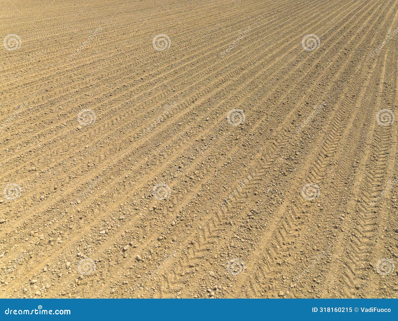Rows of Plowed Soil Prepared for Sowing Stock Image - Image of sowing ...
