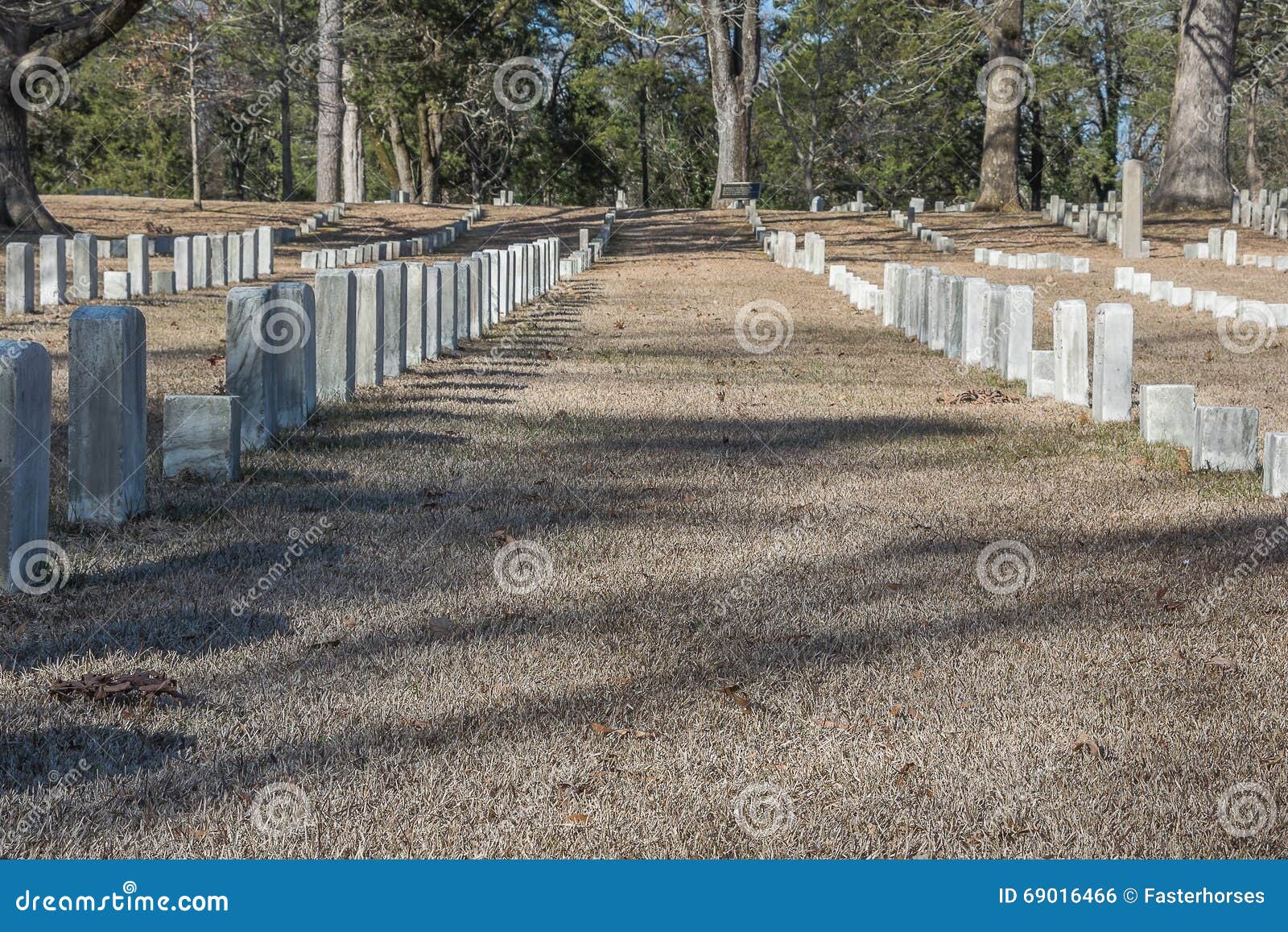 Between the Rows. stock photo. Image of shiloh, rows - 69016466