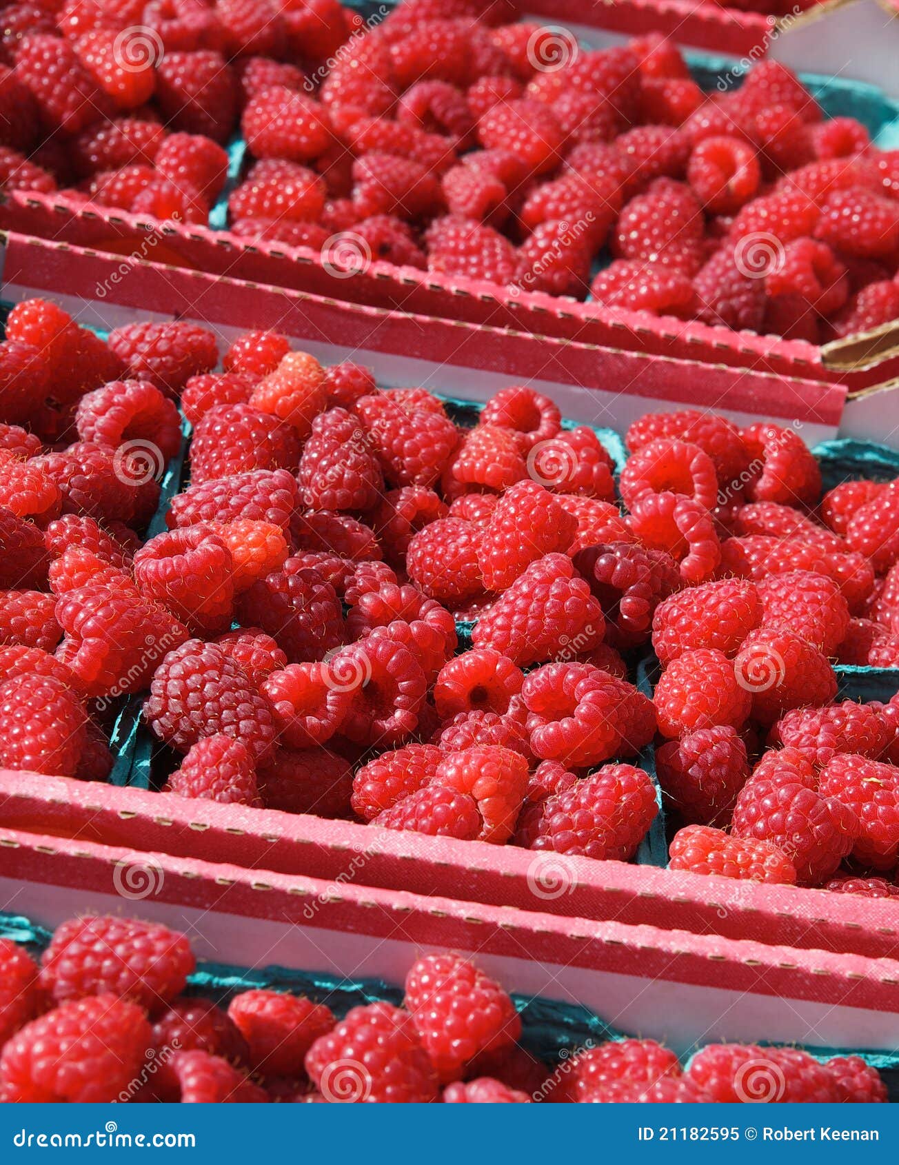 Rows of Raspberries boxes stock image. Image of dessert - 21182595