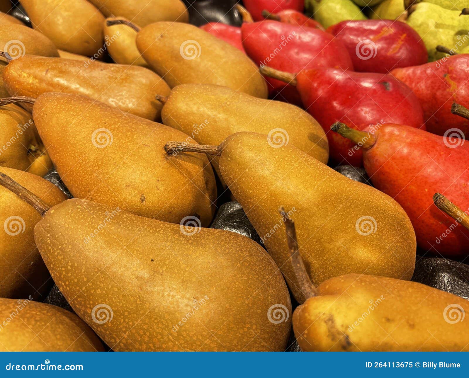 Rows of Red and Brown Pears on Display Stock Image - Image of ripe ...