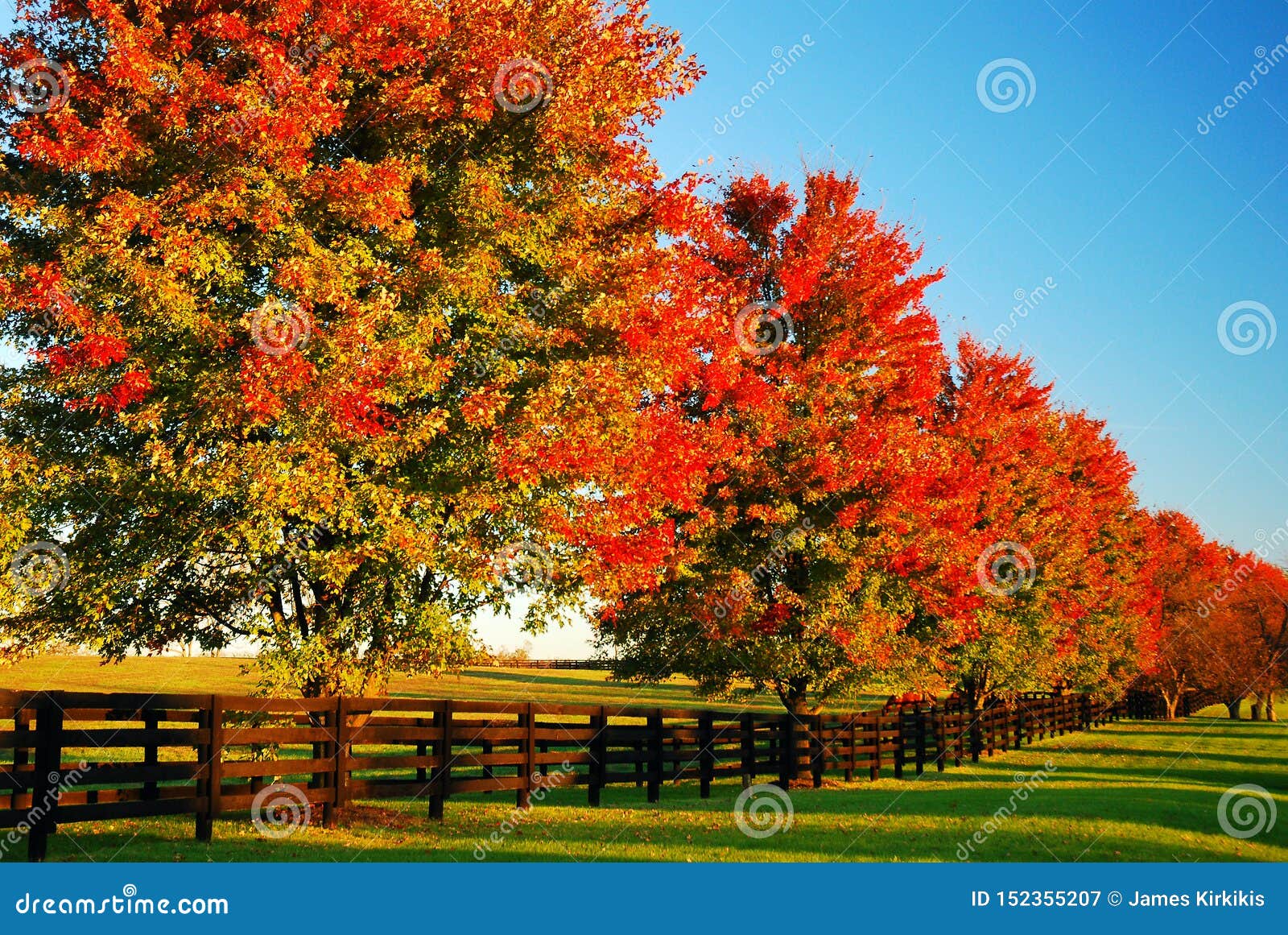 Rows of Red Line a Country Lane Stock Image - Image of color, colourful ...