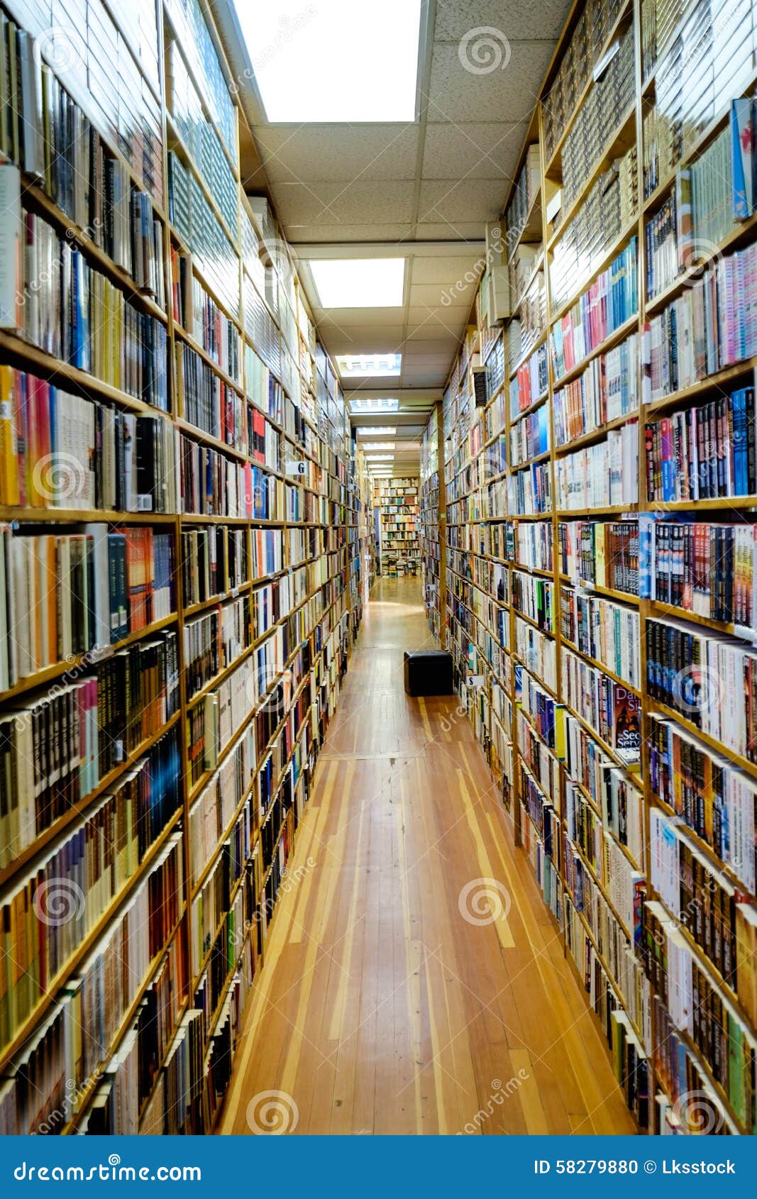 Rows and rows of books editorial image. Image of stacked - 58279880
