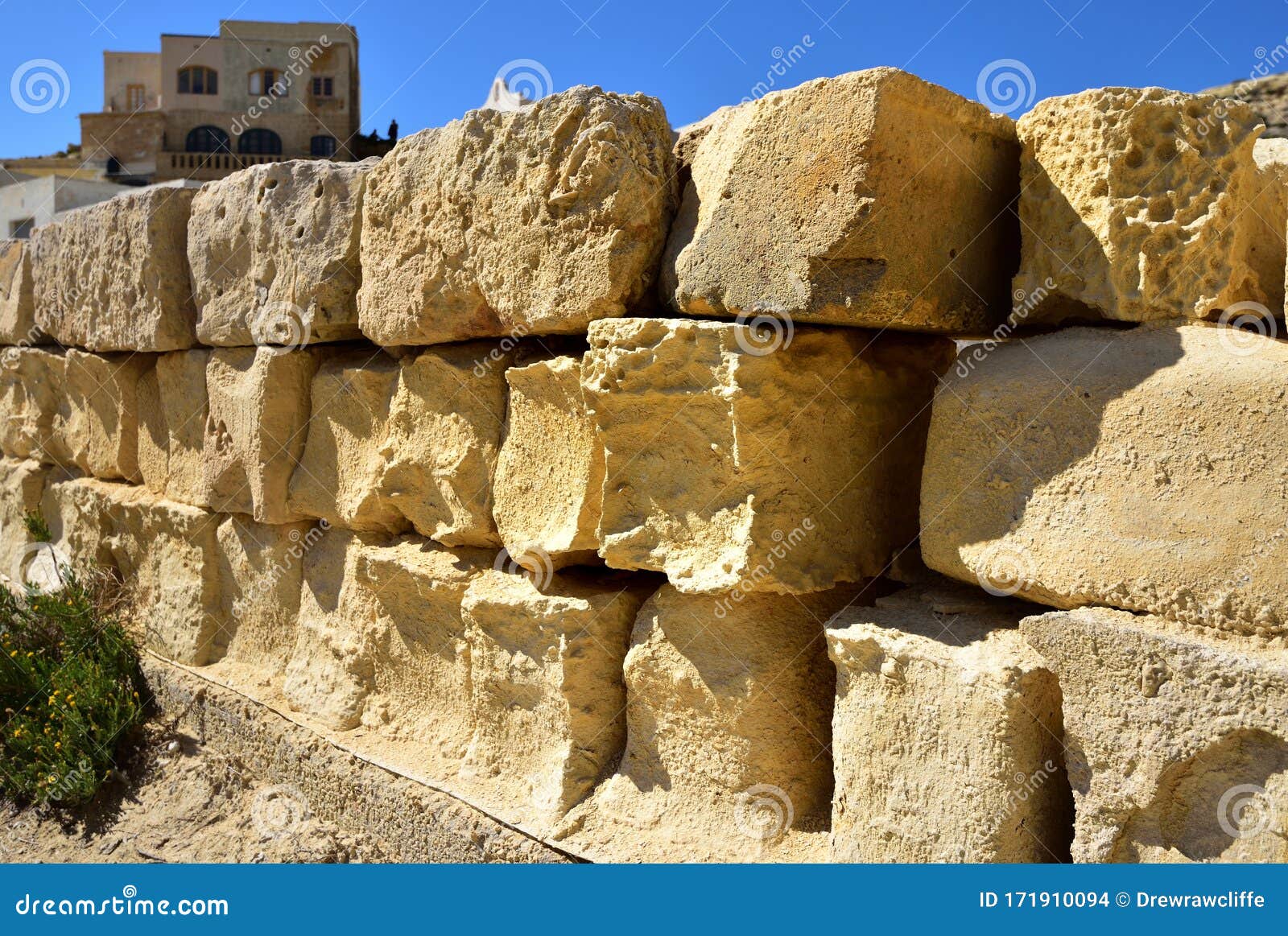 Rows of Sandstone Showing Erosion Stock Photo - Image of flowers ...