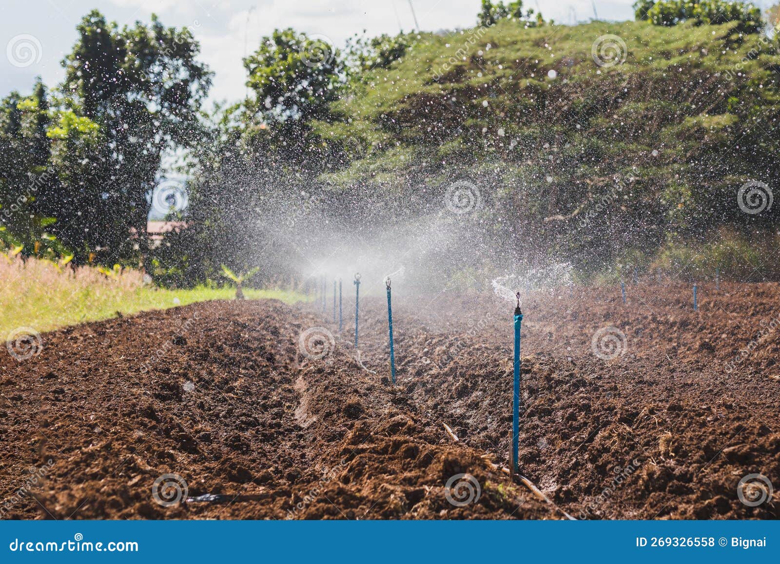 Water Springer Plants Working In Agricultural Farm. Irrigation System ...