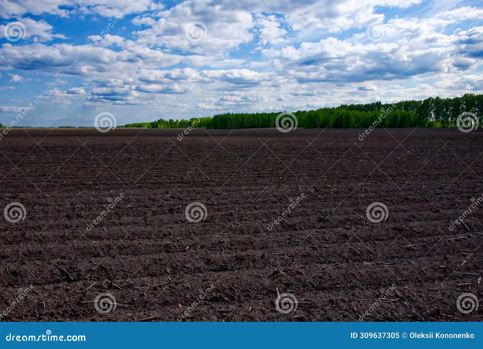 Rows in Soil Prepared for Planting Under the Sky Stock Image - Image of ...