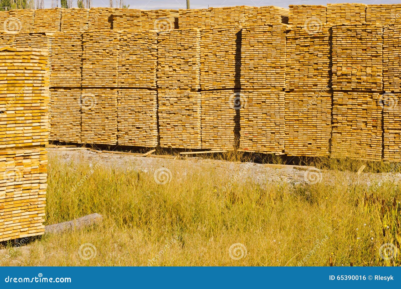 Rows of stacked lumber stock photo. Image of wood, boards - 65390016