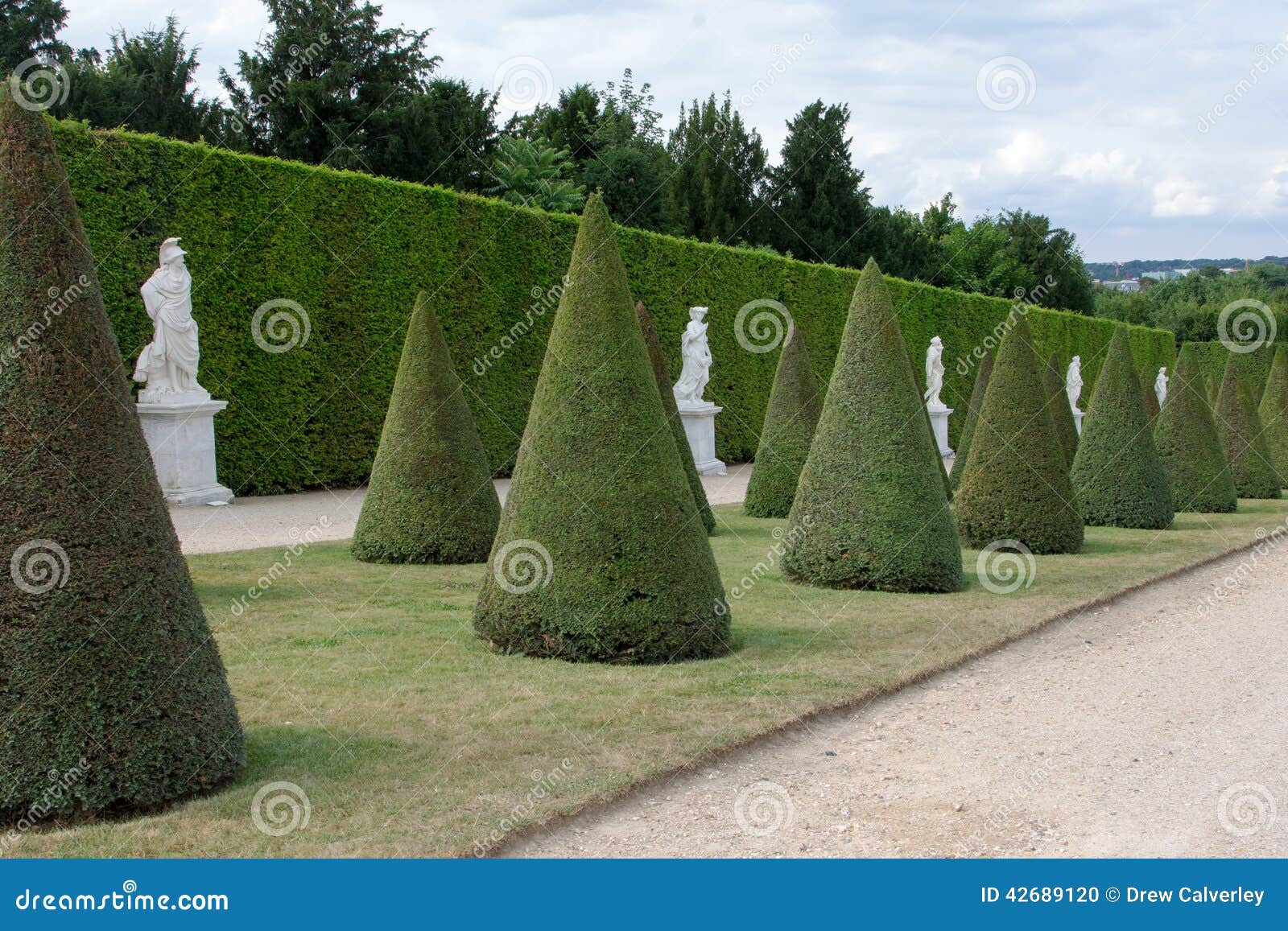 Rows of Topiary Trees with Statues Behind Stock Photo - Image of growth ...