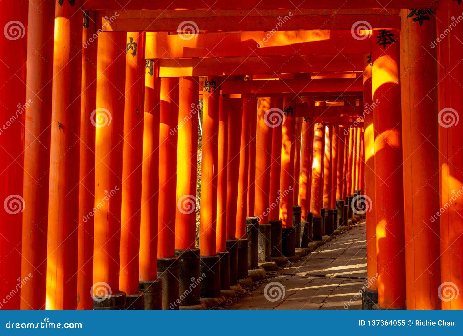Senbon Torii Path in Fushimi Inari-taisha, Kyoto, Japan Stock Image ... Senbon Torii Path in Fushimi Inari-taisha, Kyoto, Japan Stock Image ...