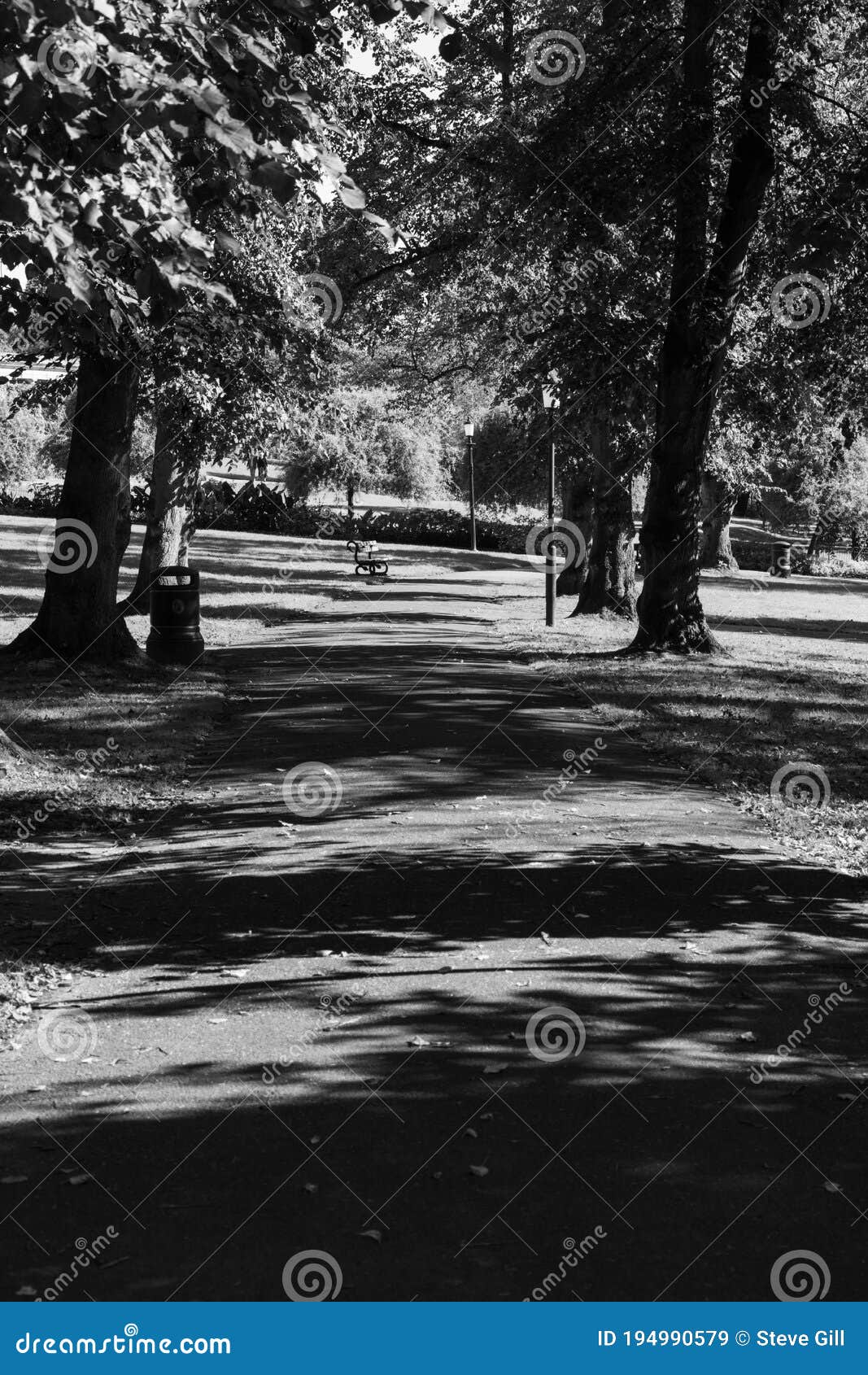 Tree Shadows on a Public Park Path. Stock Image - Image of black ...