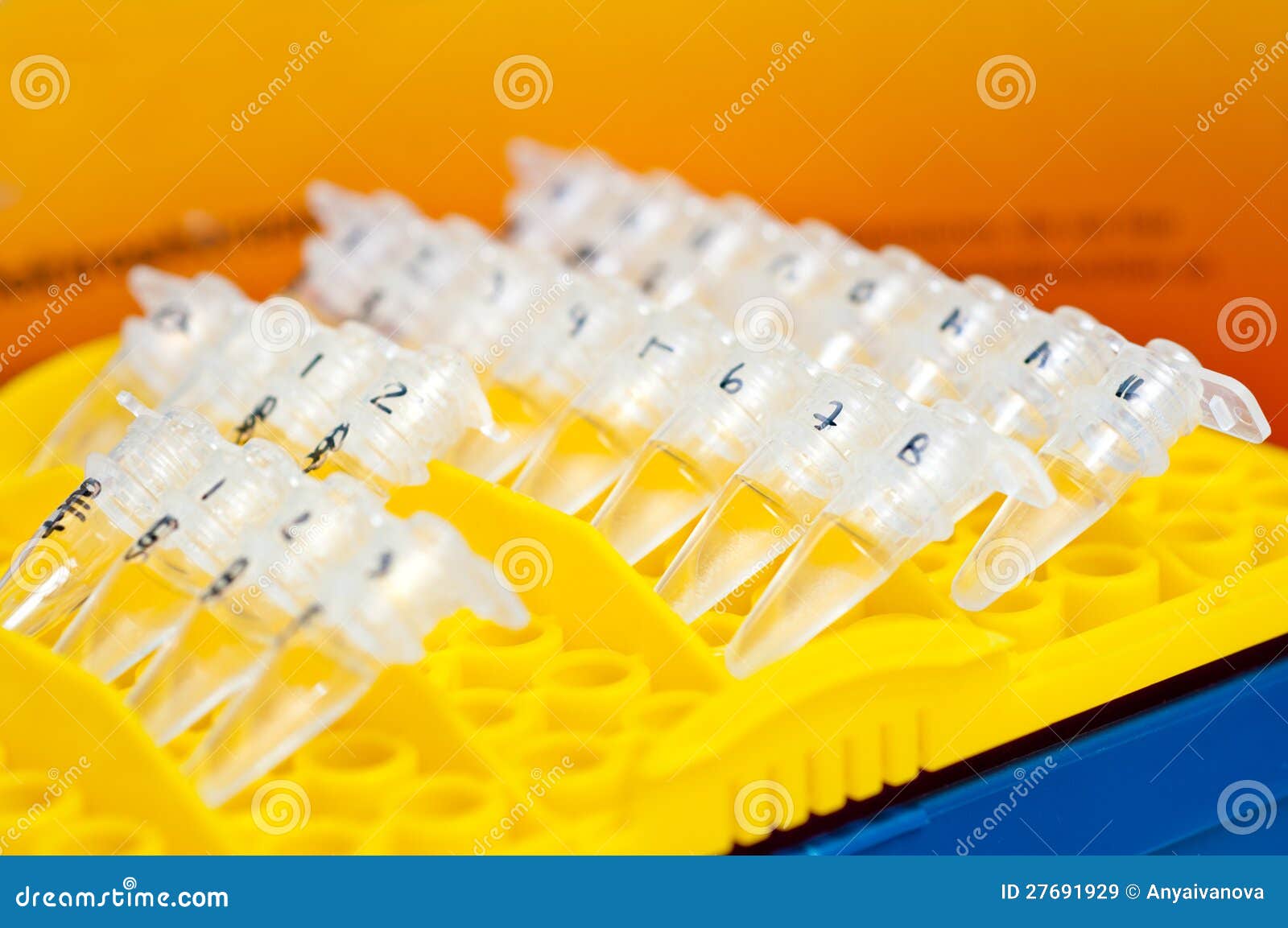 Rows of Tubes for DNA Analysis Stock Image - Image of sample, number ...