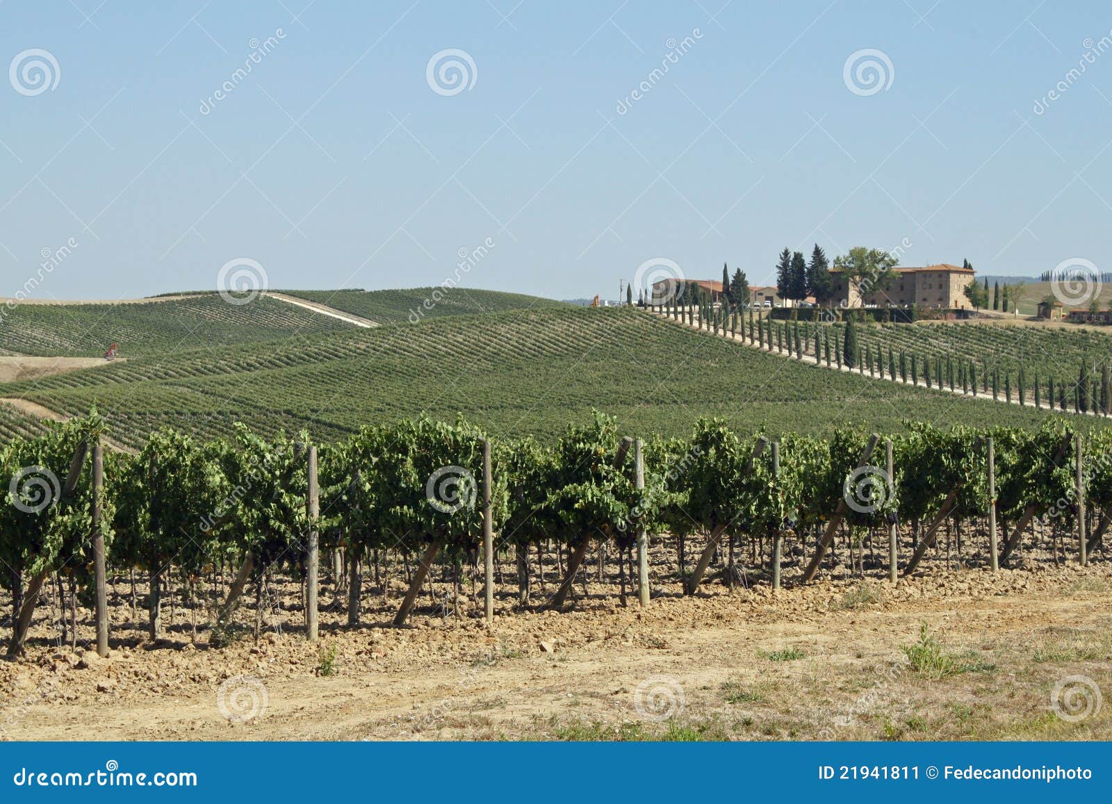 Rows of Vineyards and Hills of Tuscany in Italy Stock Image - Image of ...