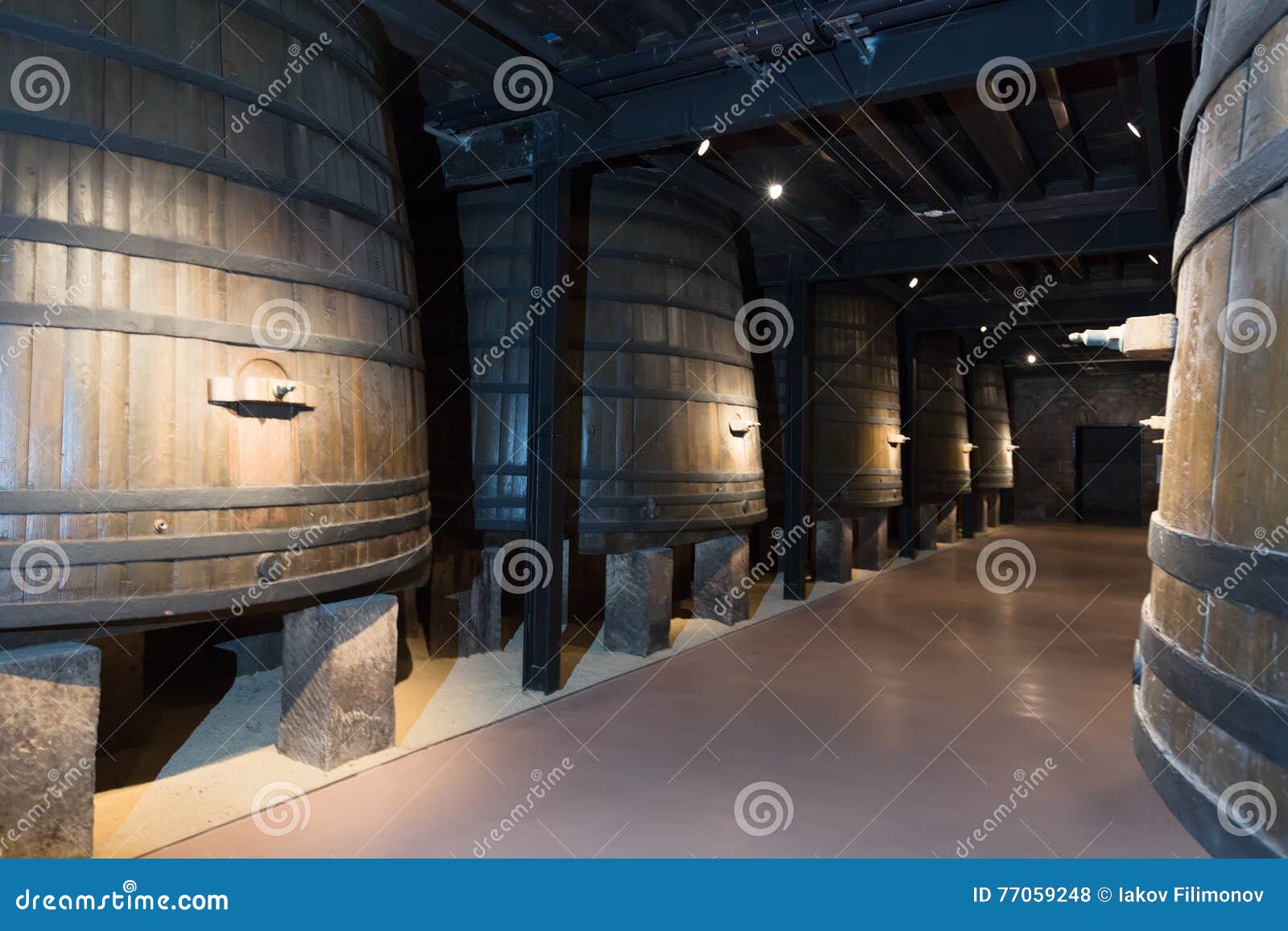 Rows of wooden barrels stock photo. Image of vine, ferment - 77059248