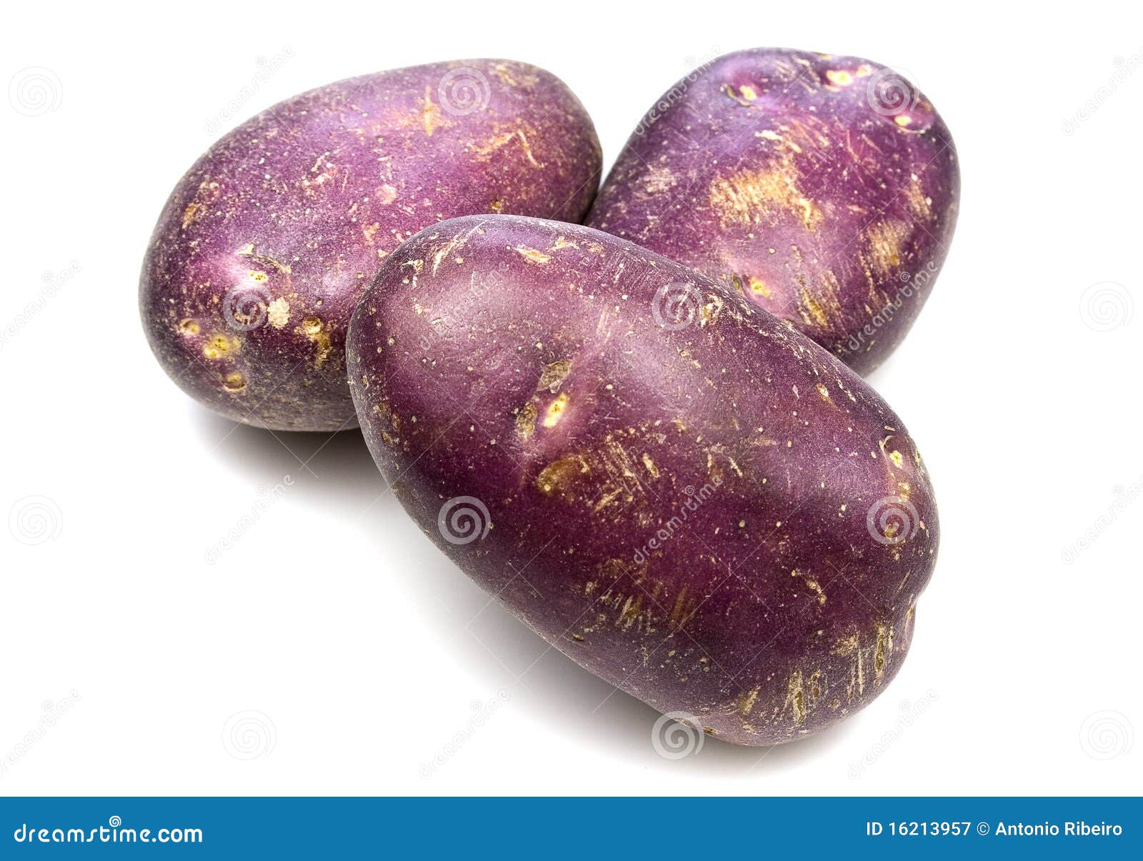 Royal Blue Potatoes stock image. Image of royal, organic - 16213957