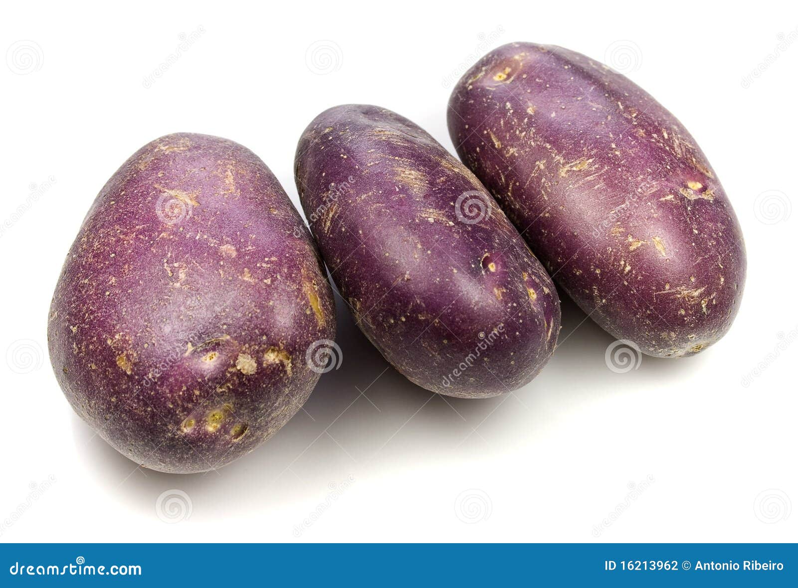 Royal Blue Potatoes stock photo. Image of royal, vegetable - 16213962