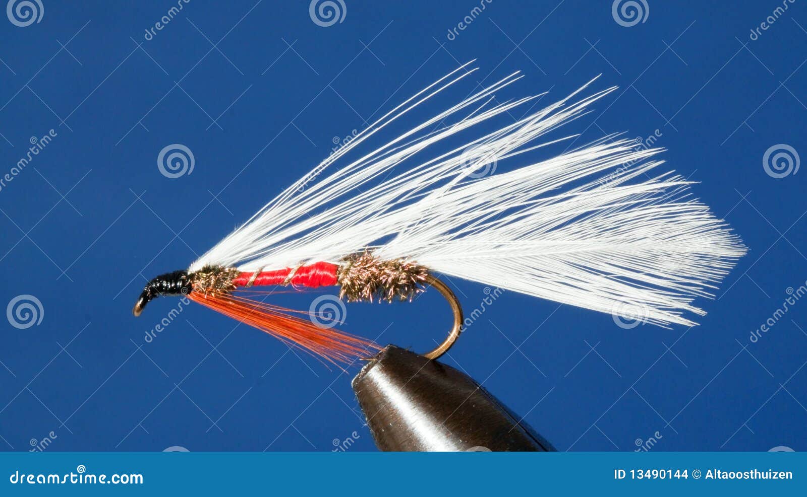 Royal Coachman trout fly stock photo. Image of sport - 13490144