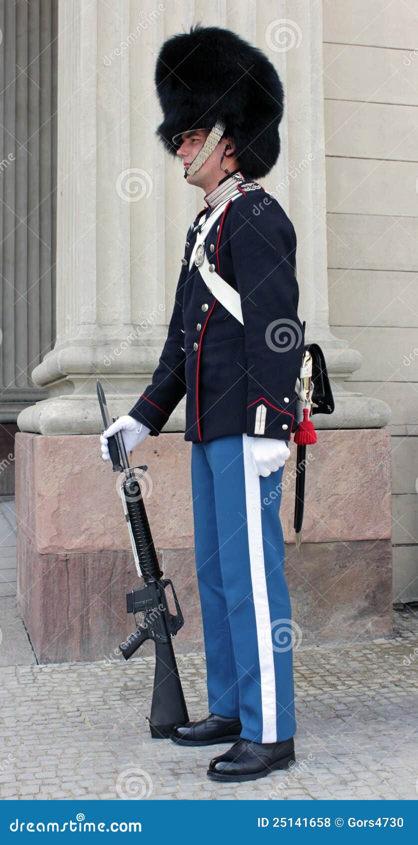 Royal Danish Guardsman editorial stock photo. Image of bearskin - 25141658