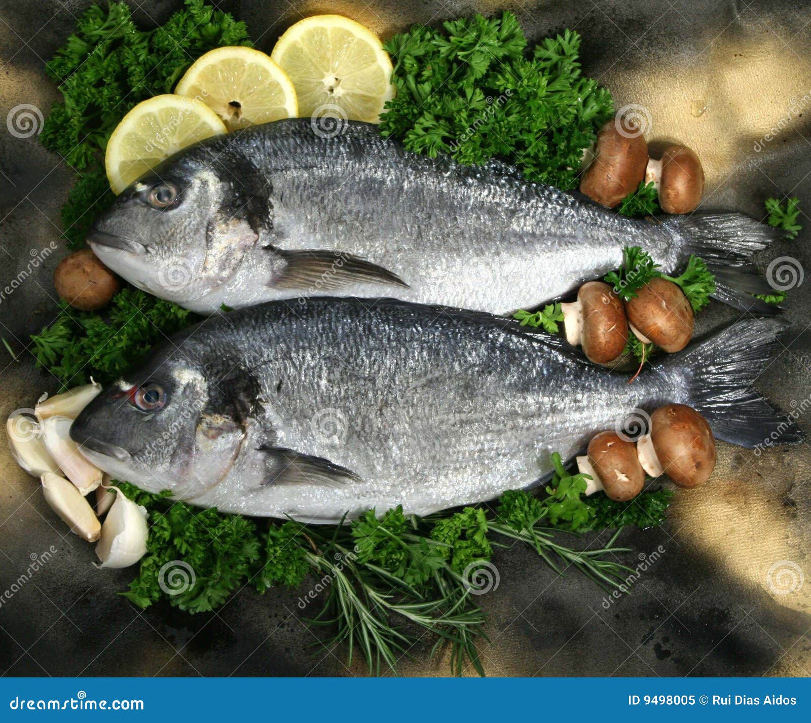 Royal dorade stock image. Image of animal, food, fisheries - 9498005