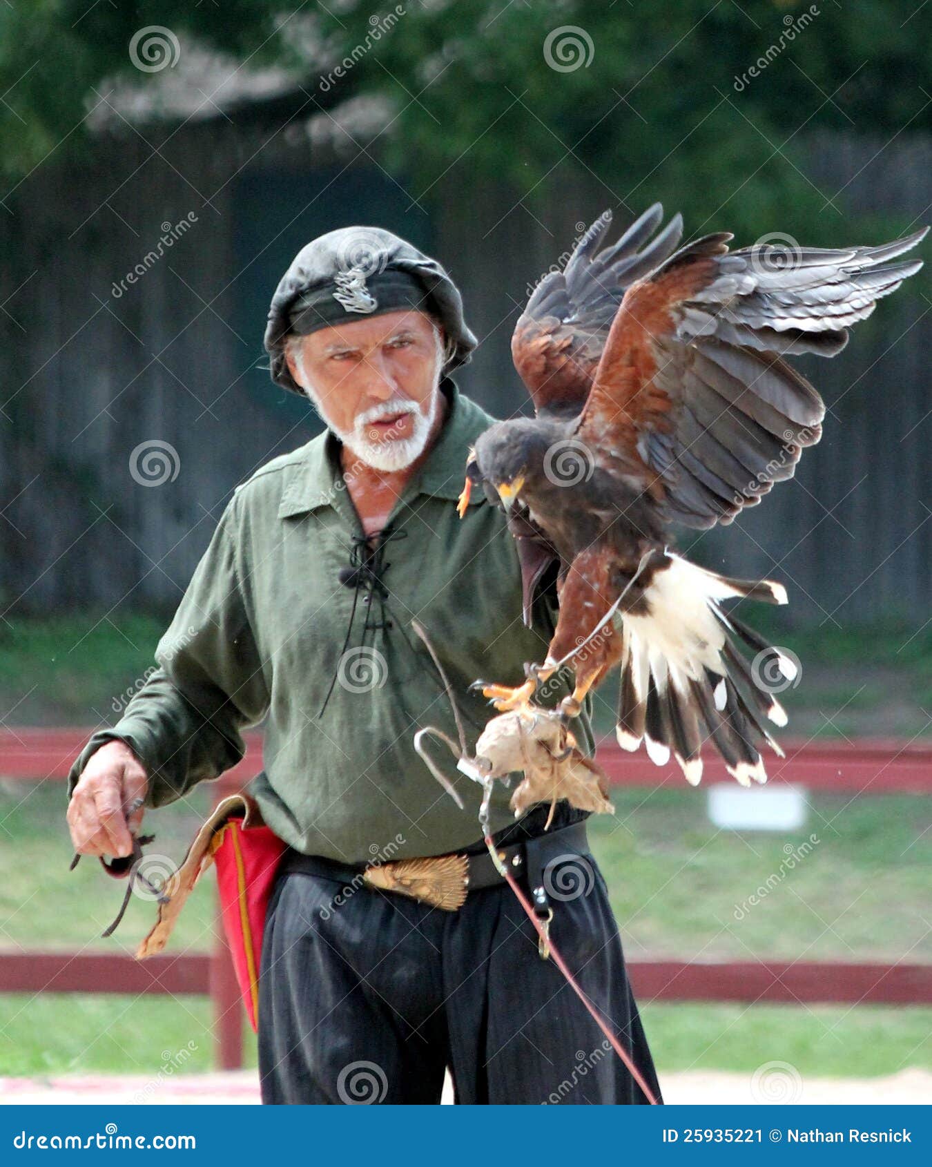 The Royal Falconer at the Renaissance Fair Editorial Photo - Image of ...