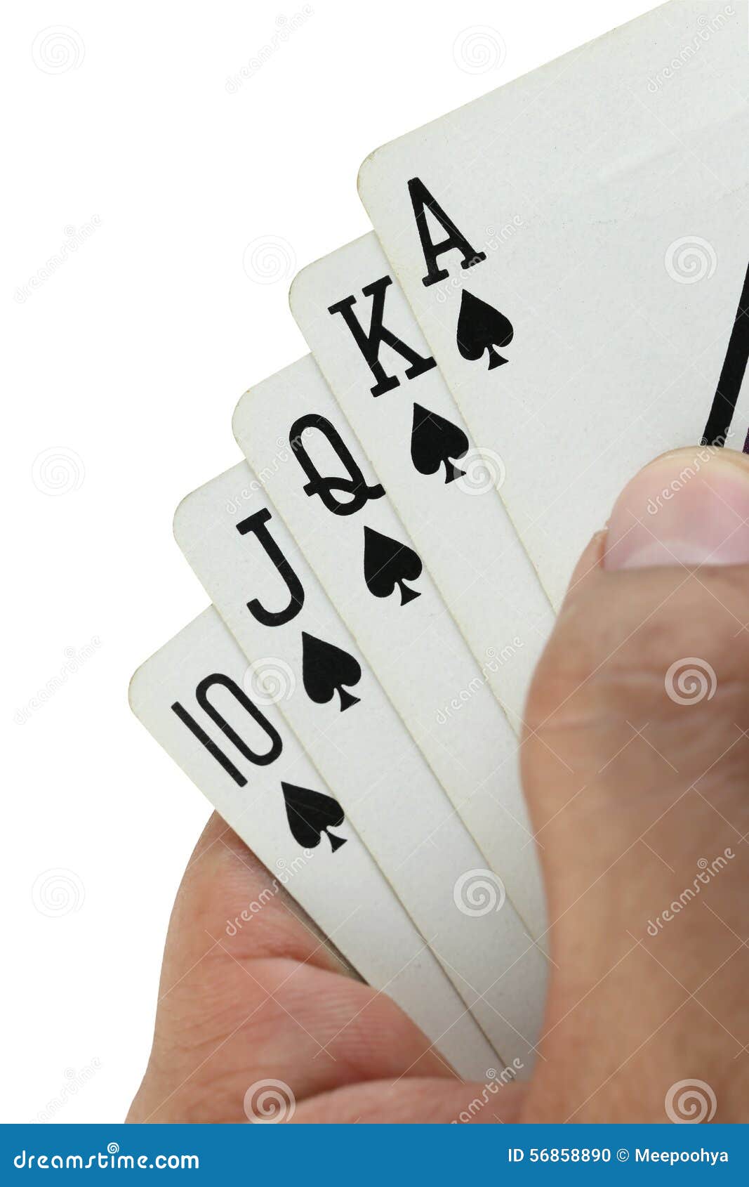 Royal Flush Playing Cards in Hand. Stock Photo - Image of casino, flush ...