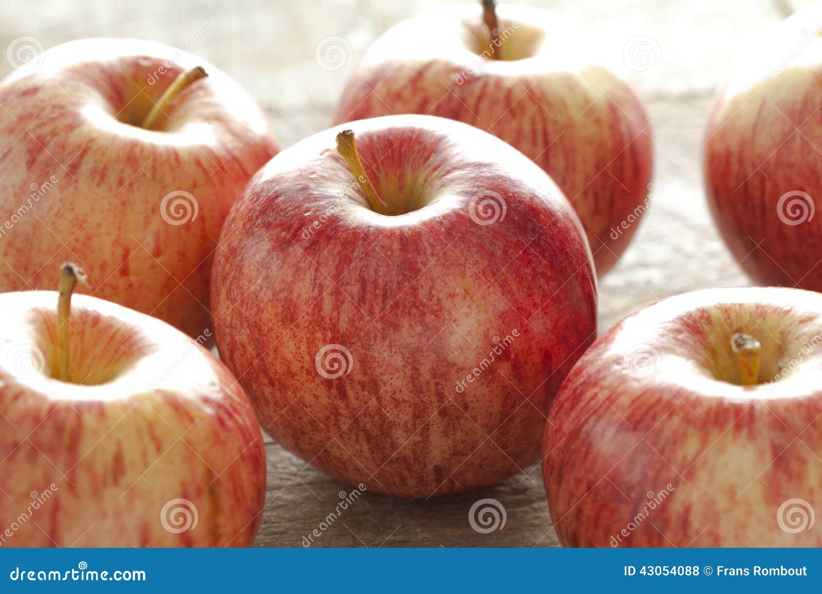 Royal Gala apples stock photo. Image of apples, organic - 43054088